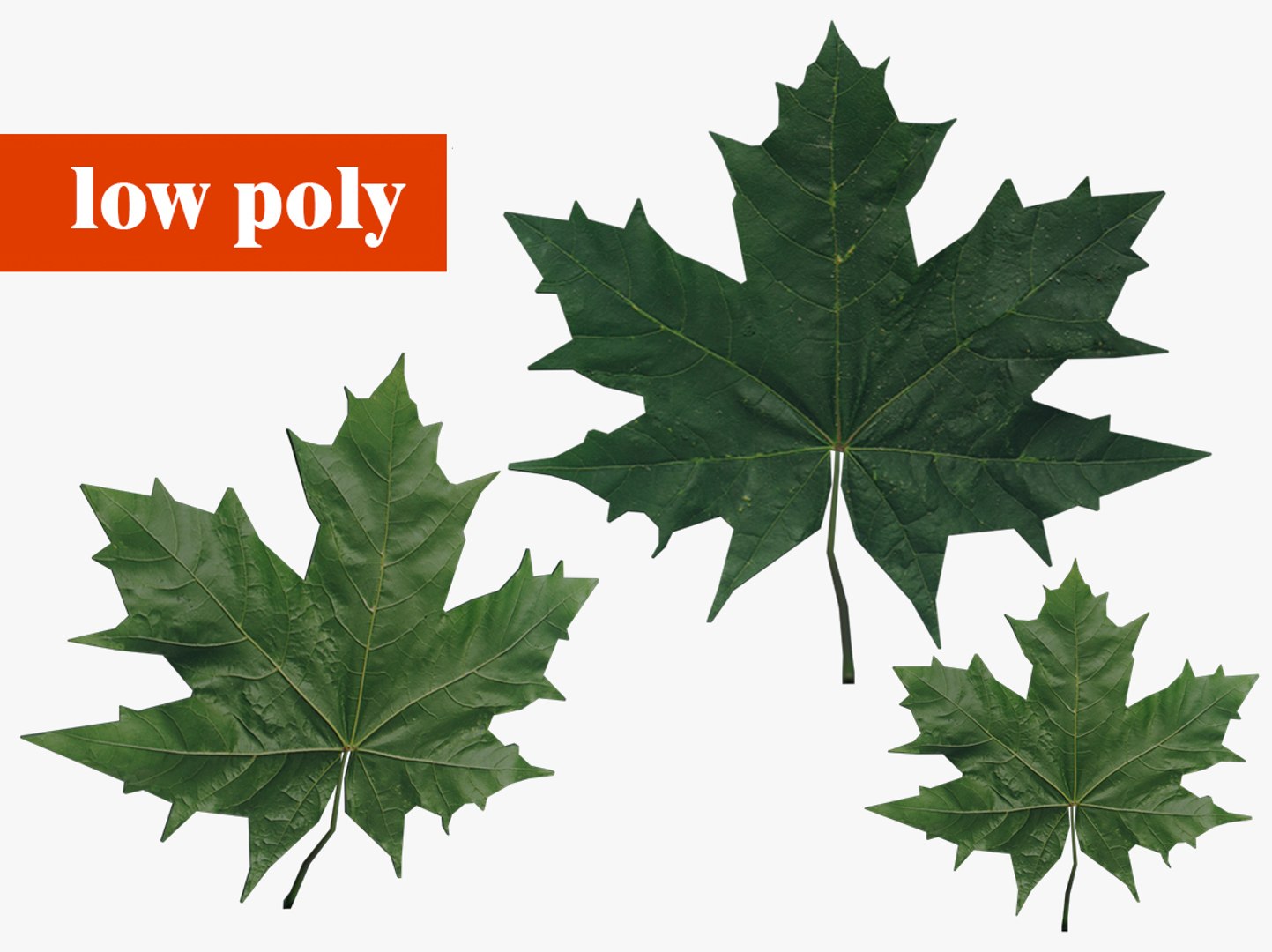 3D Maple Leaf Low-poly Textured 3d Model For Games Model - TurboSquid ...