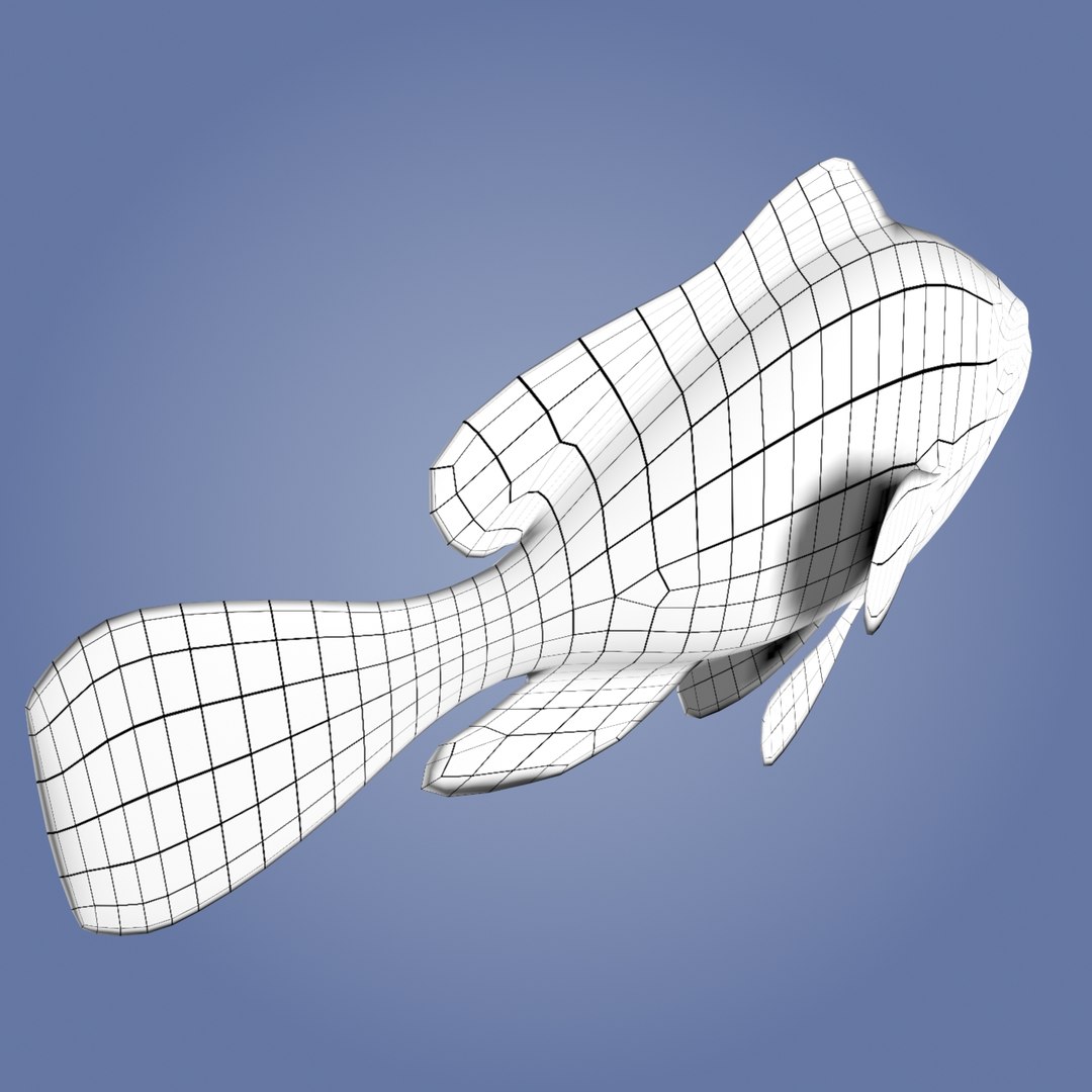 3d Fish Fish Model