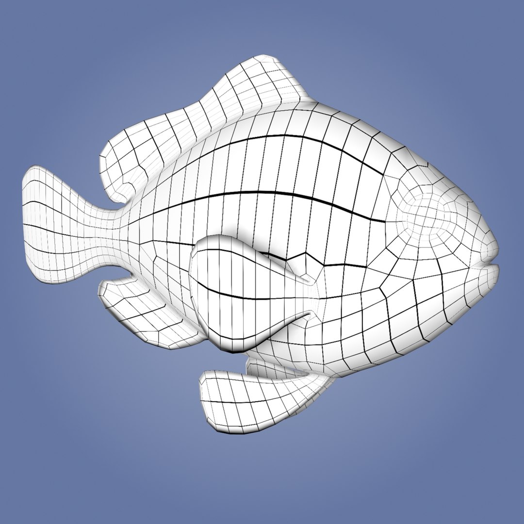 3d Fish Fish Model