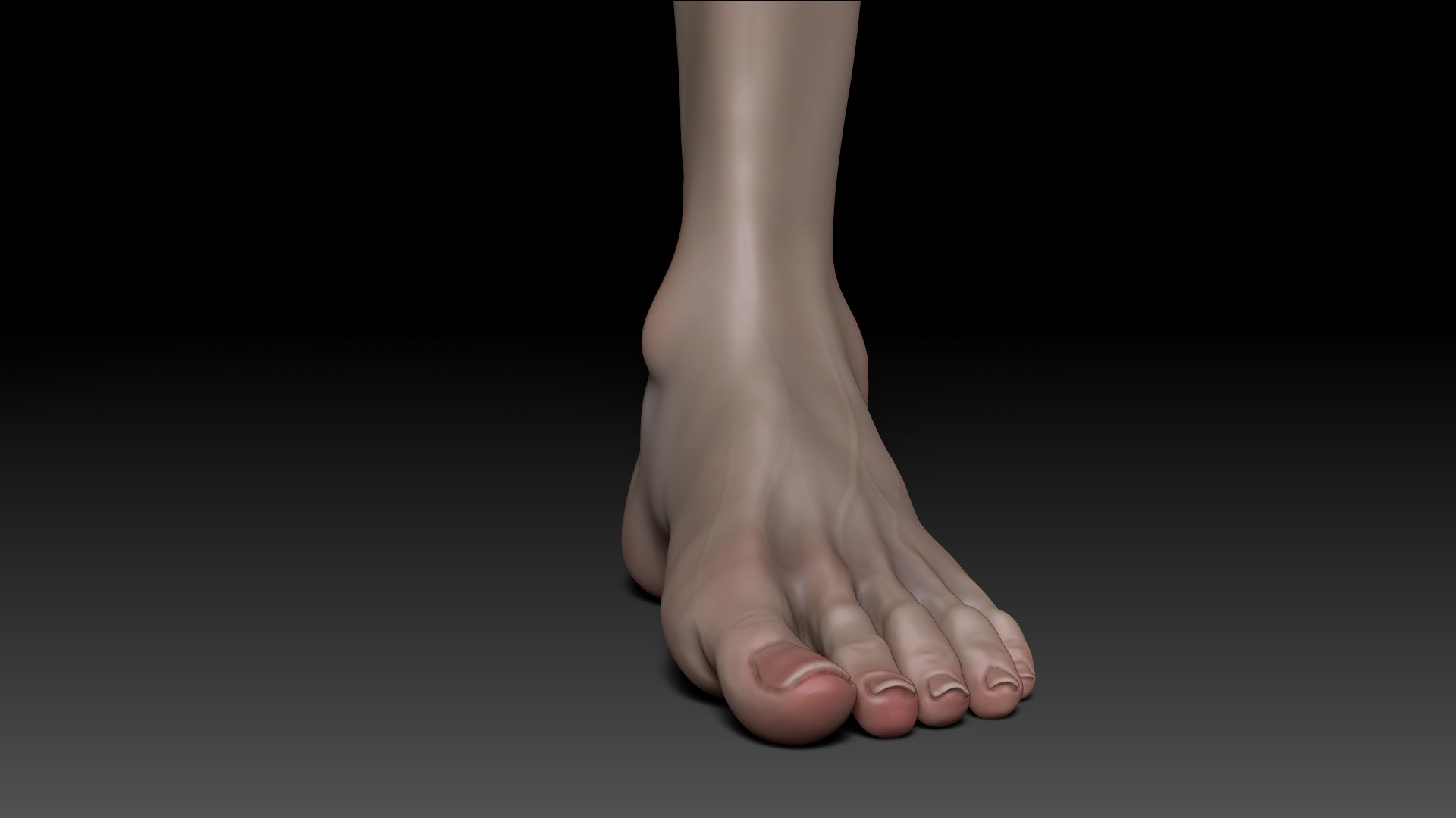 3D Female Leg Sulpt Project - TurboSquid 2052480