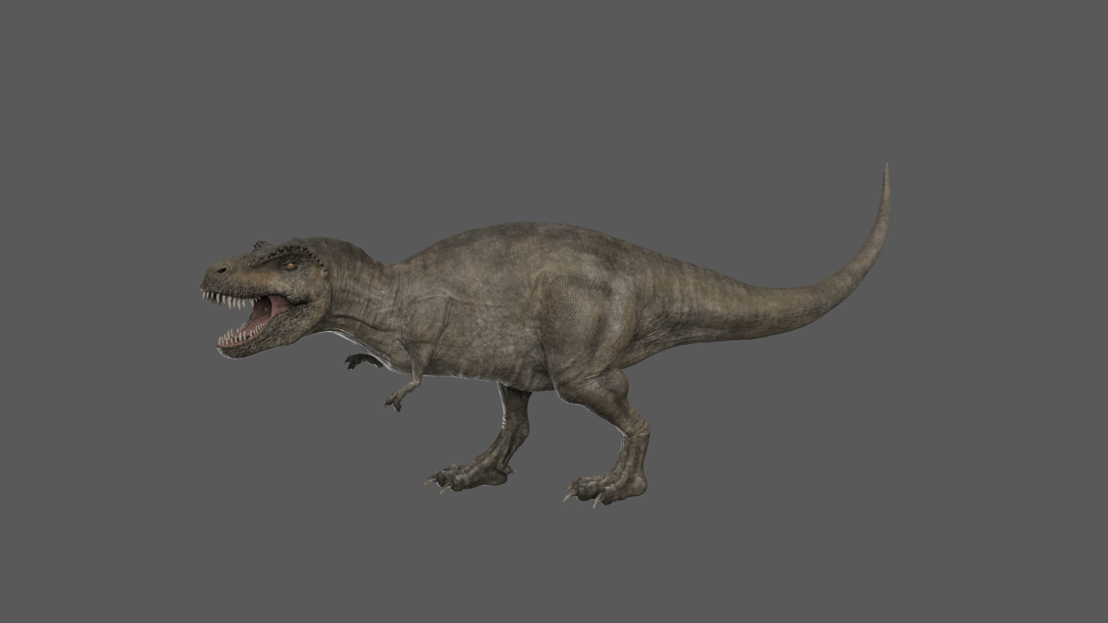 3D модель T-Rex Анимированный - TurboSquid 1538947