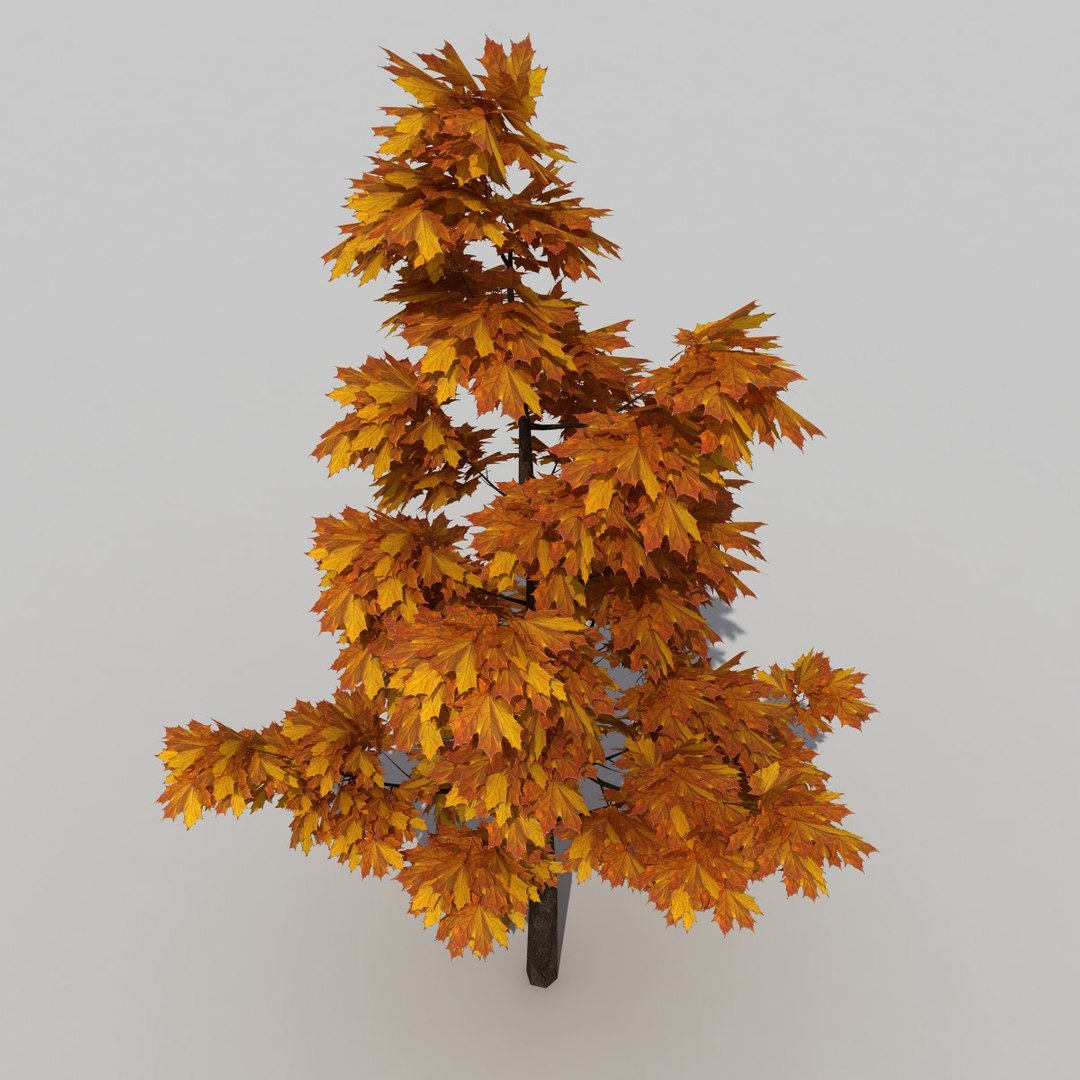 Modelled Trees 3d Max