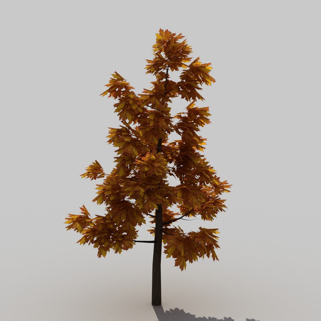 Modelled Trees 3d Max