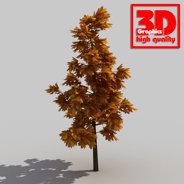 Deciduous Tree 3D Models for Download | TurboSquid