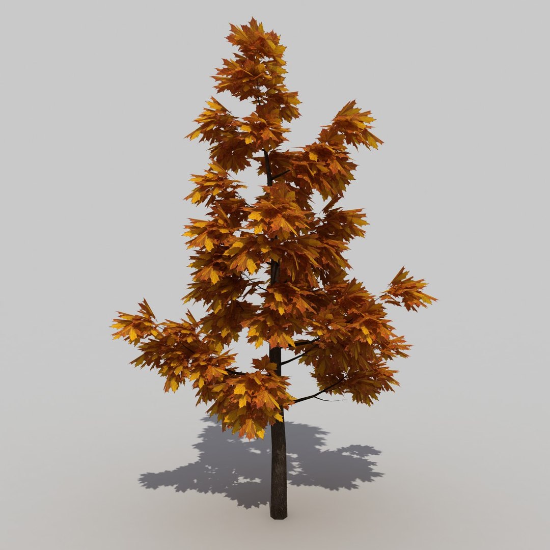 Modelled Trees 3d Max