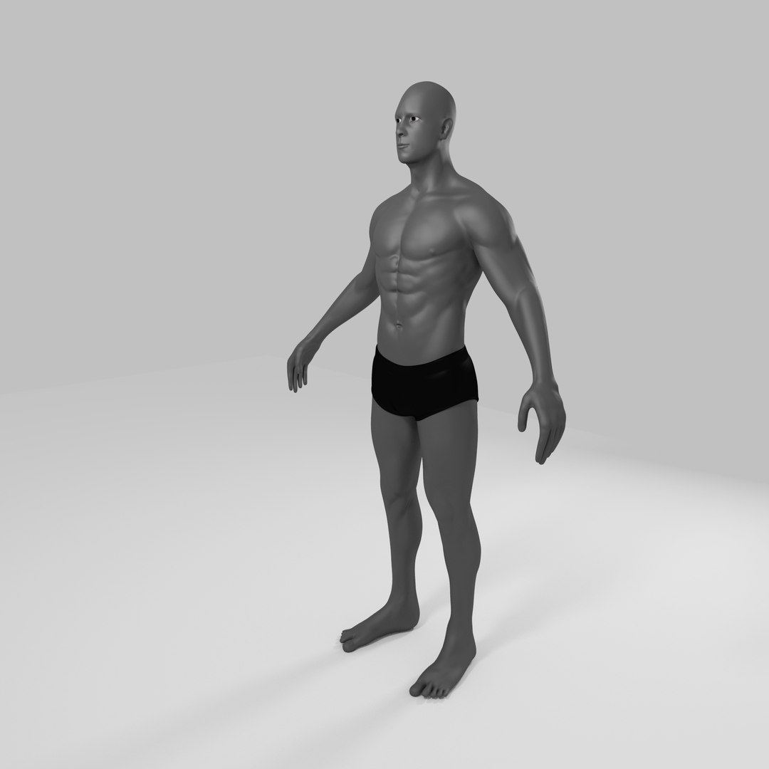 Human Male 3d Model