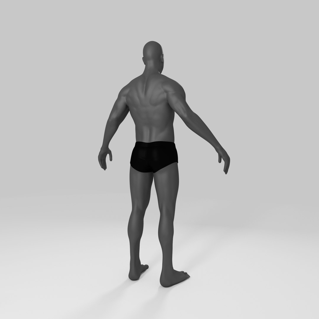 Human Male 3d Model