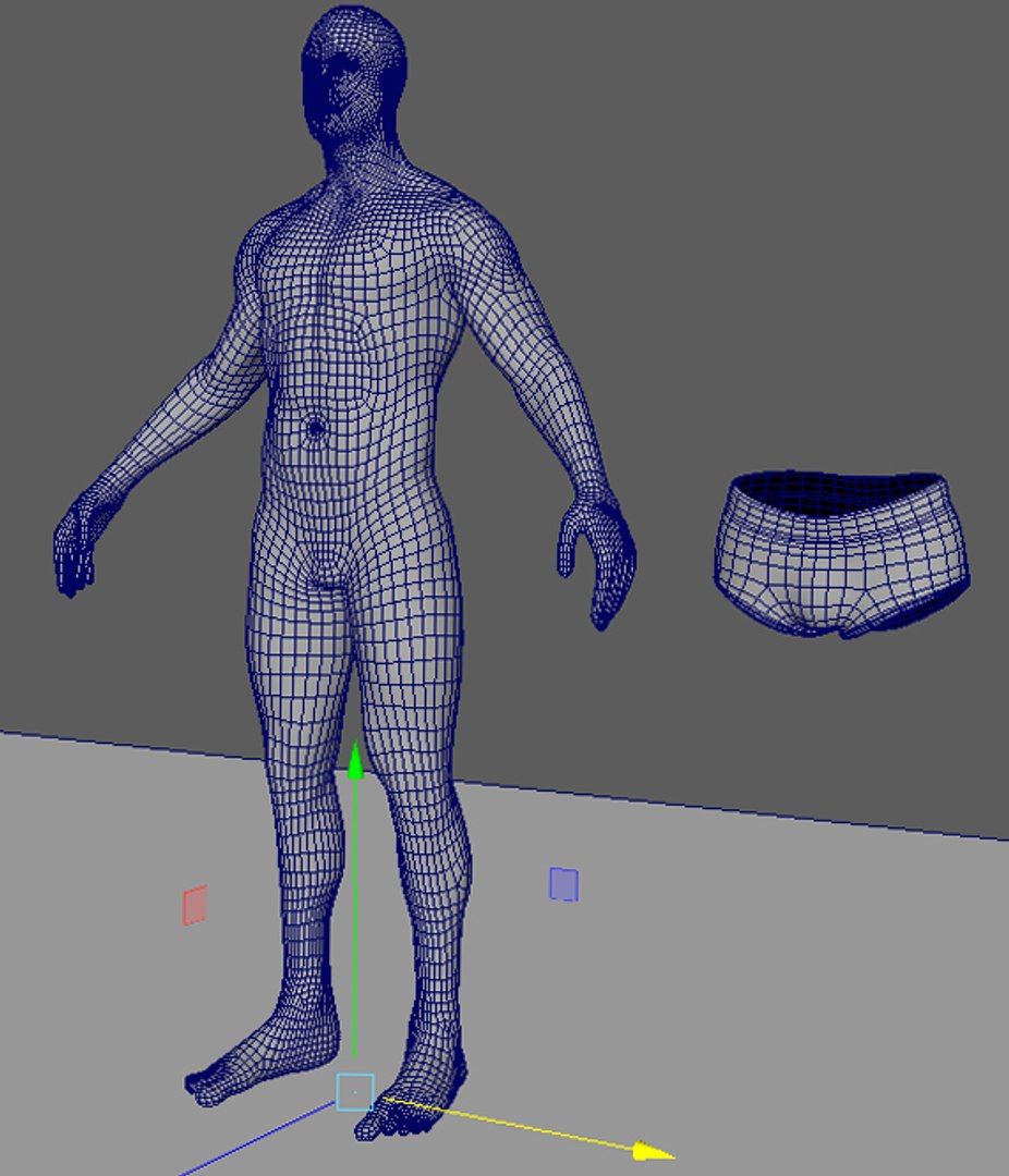 Human Male 3d Model