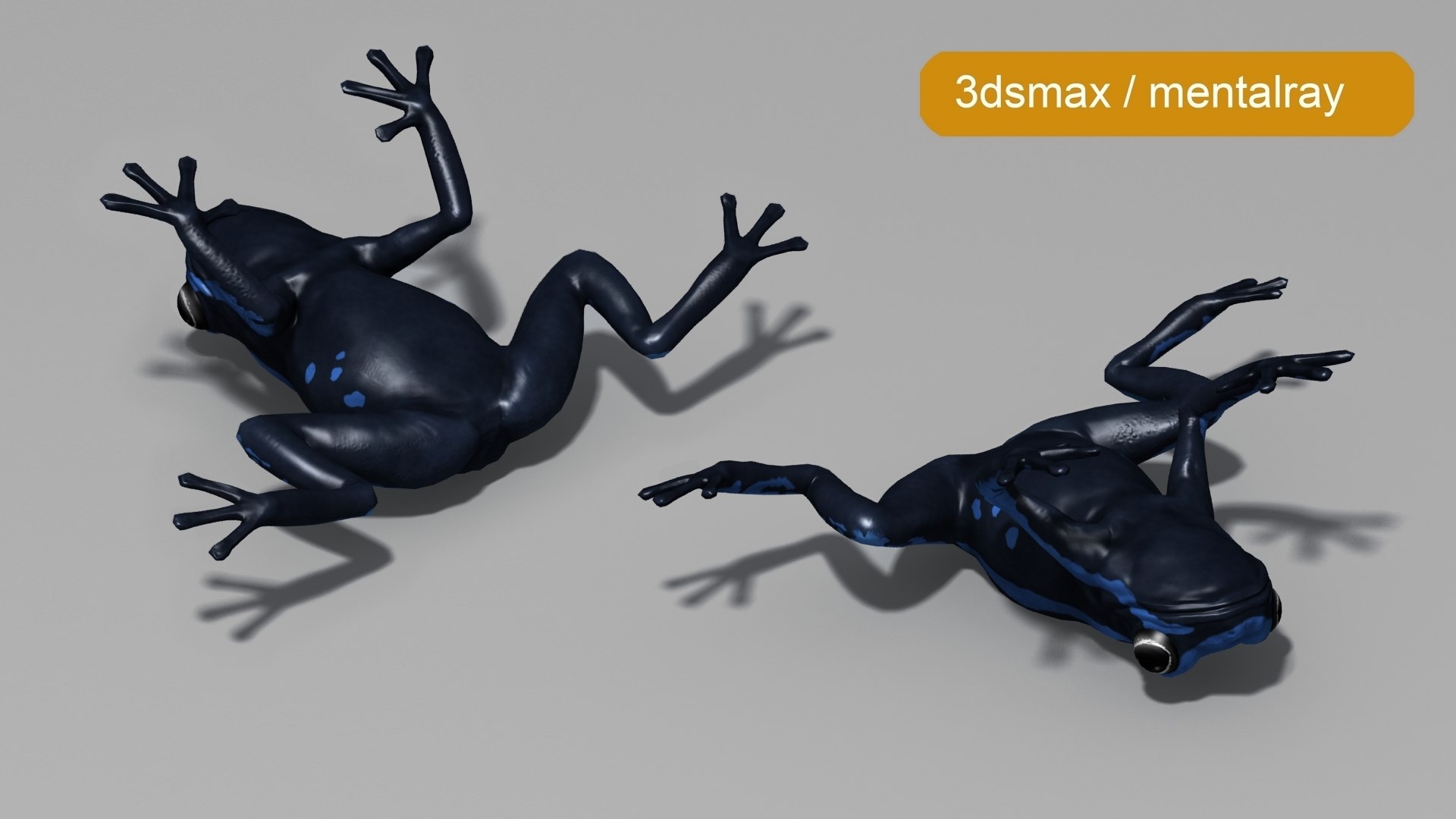 3D Threestriped Poisondart Frog - TurboSquid 2230992