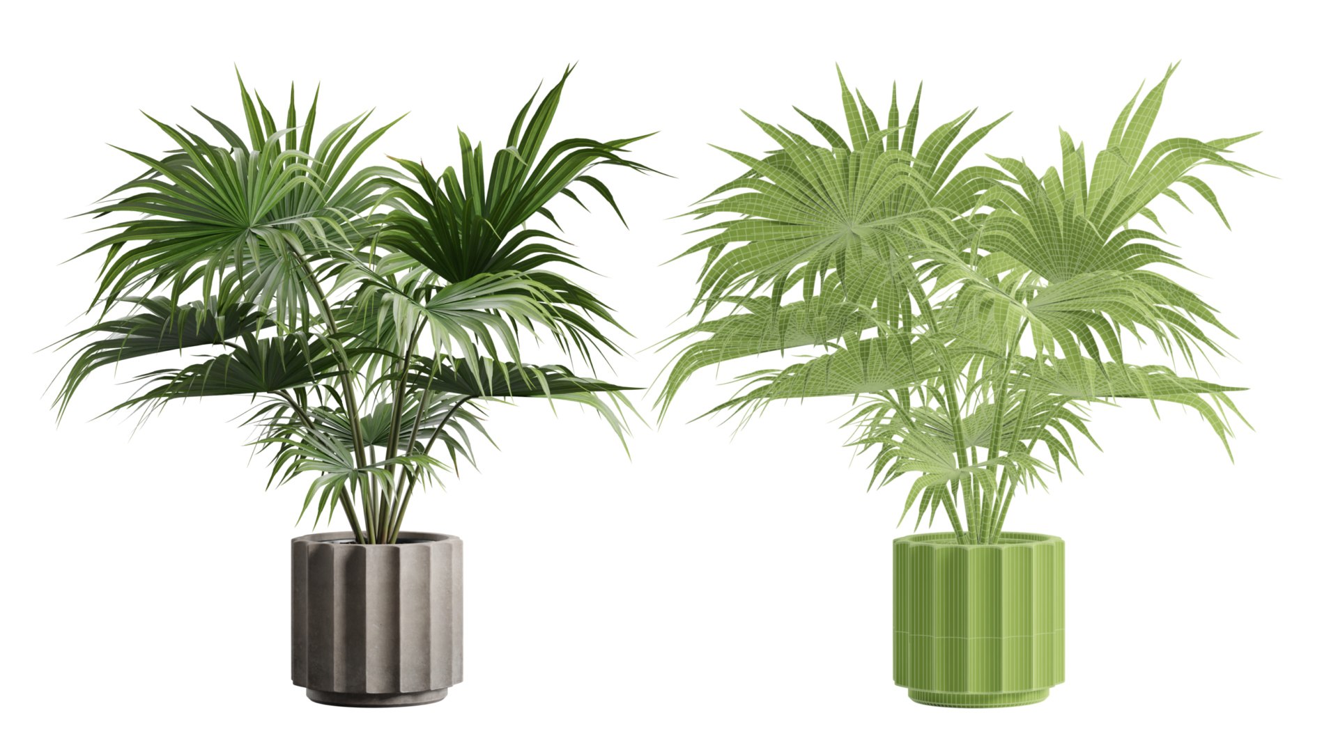 Indoor Plants Pack 66 3D Model - TurboSquid 2196568