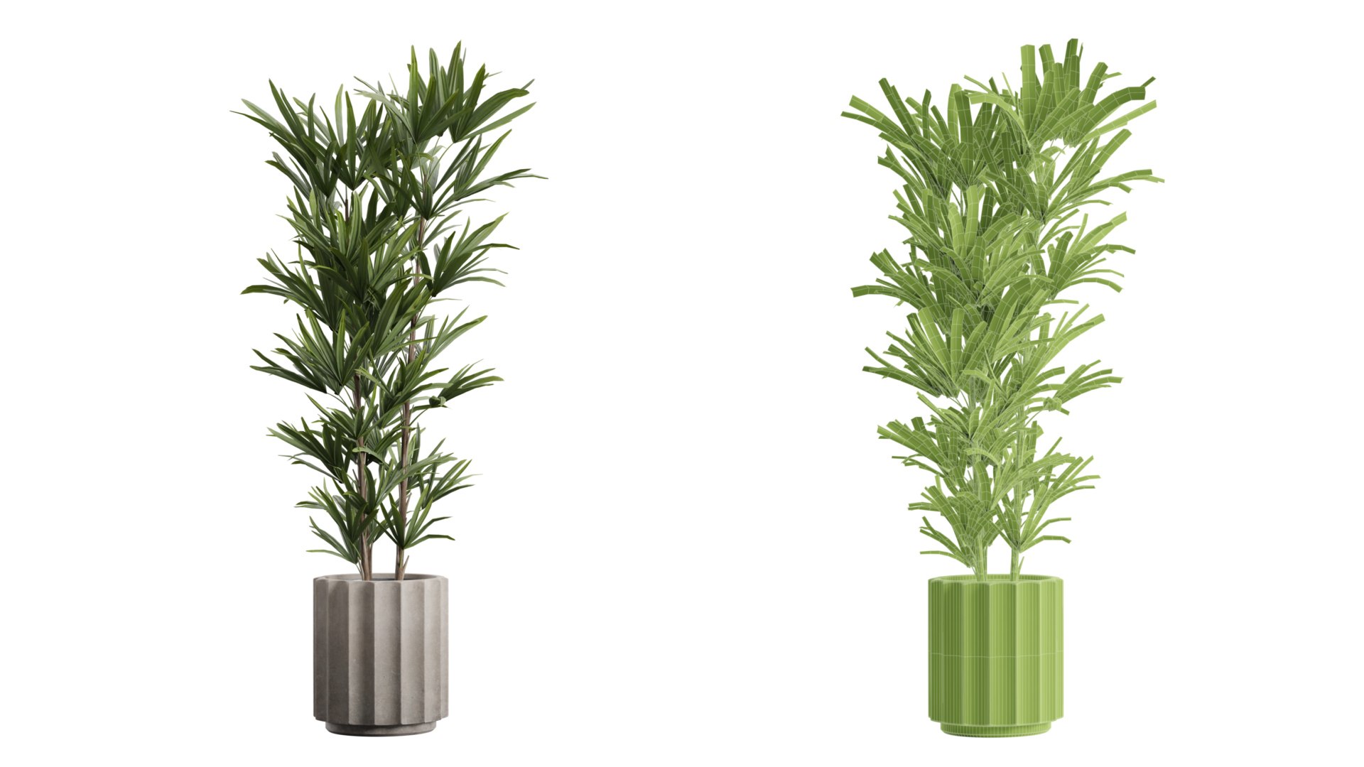 Indoor Plants Pack 66 3D Model - TurboSquid 2196568