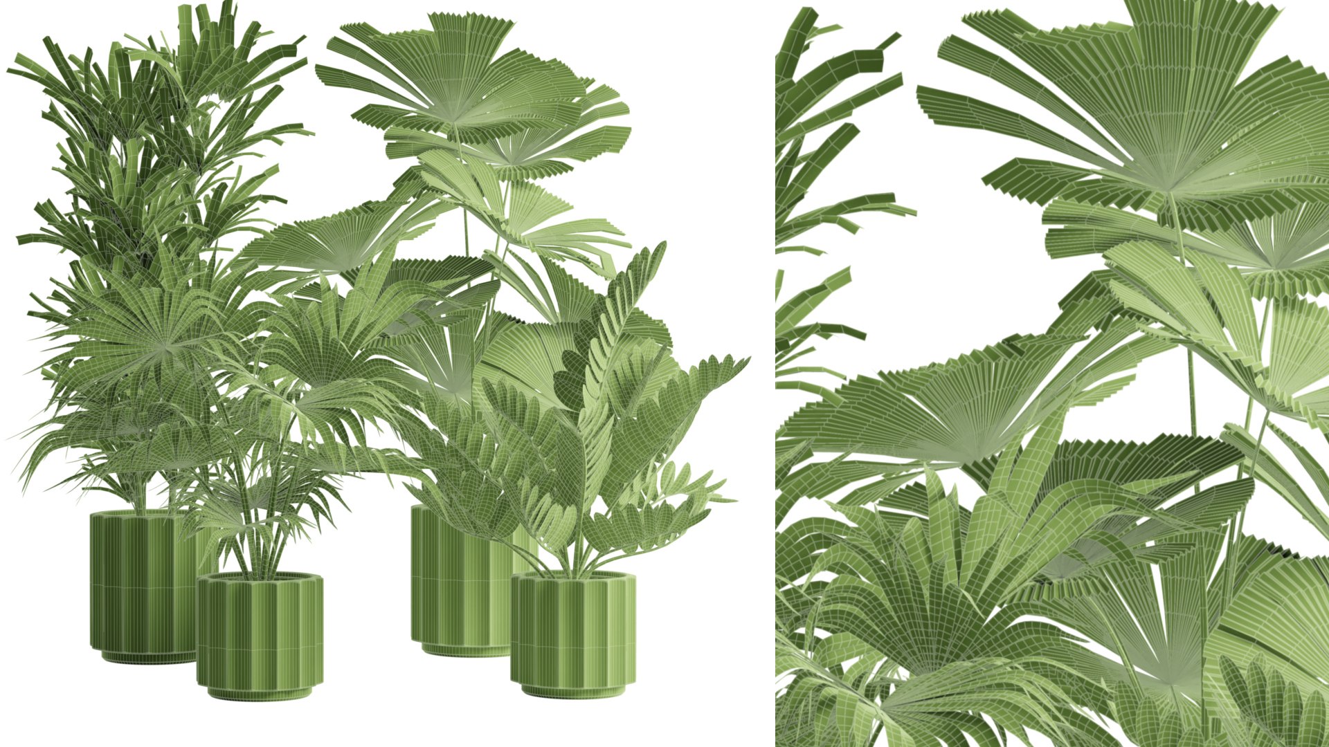 Indoor Plants Pack 66 3D Model - TurboSquid 2196568