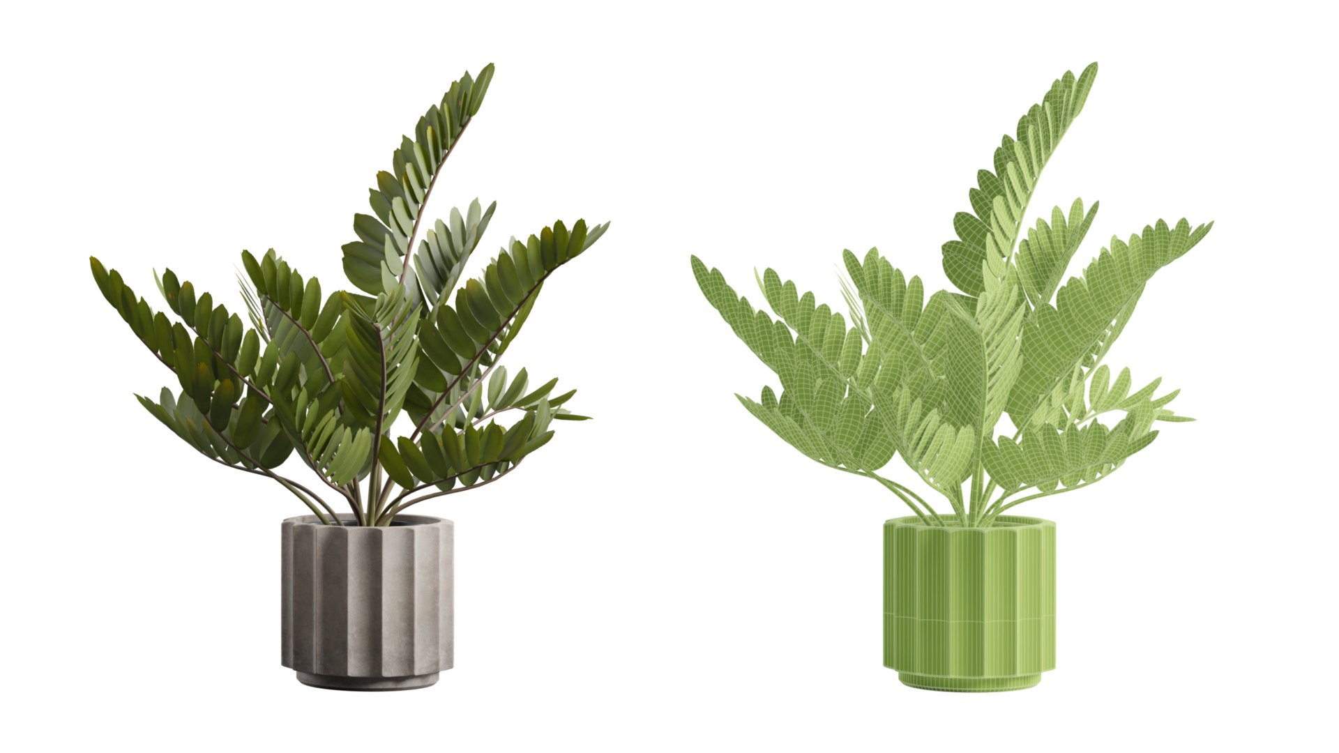 Indoor Plants Pack 66 3D Model - TurboSquid 2196568