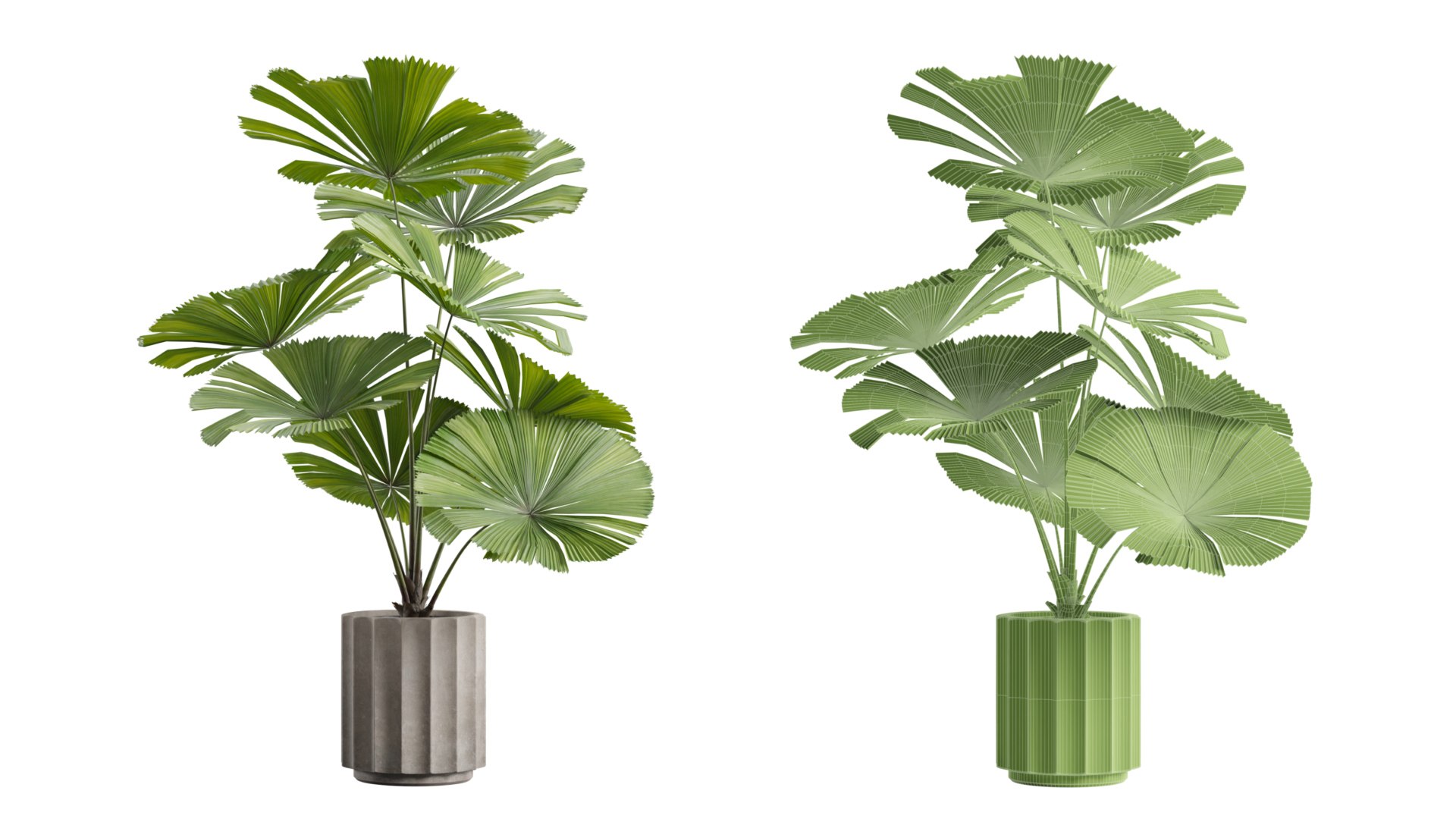 Indoor Plants Pack 66 3D Model - TurboSquid 2196568