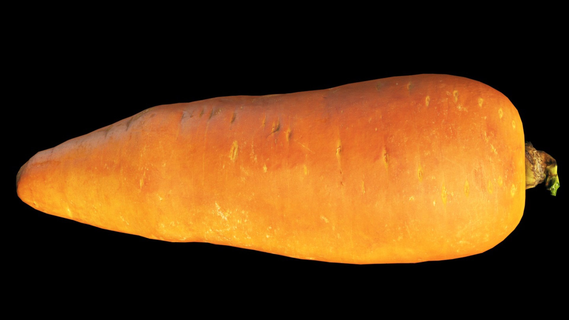 3D 4k Carrot - TurboSquid 1807465