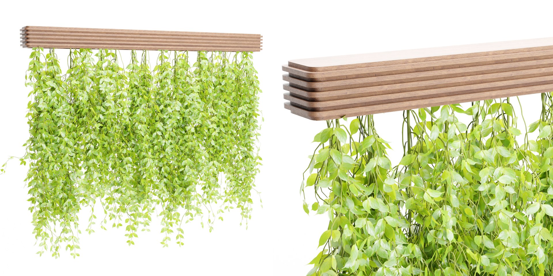 Hanging Plants For Indoor Vol 124-Blender 3D - TurboSquid 2143358
