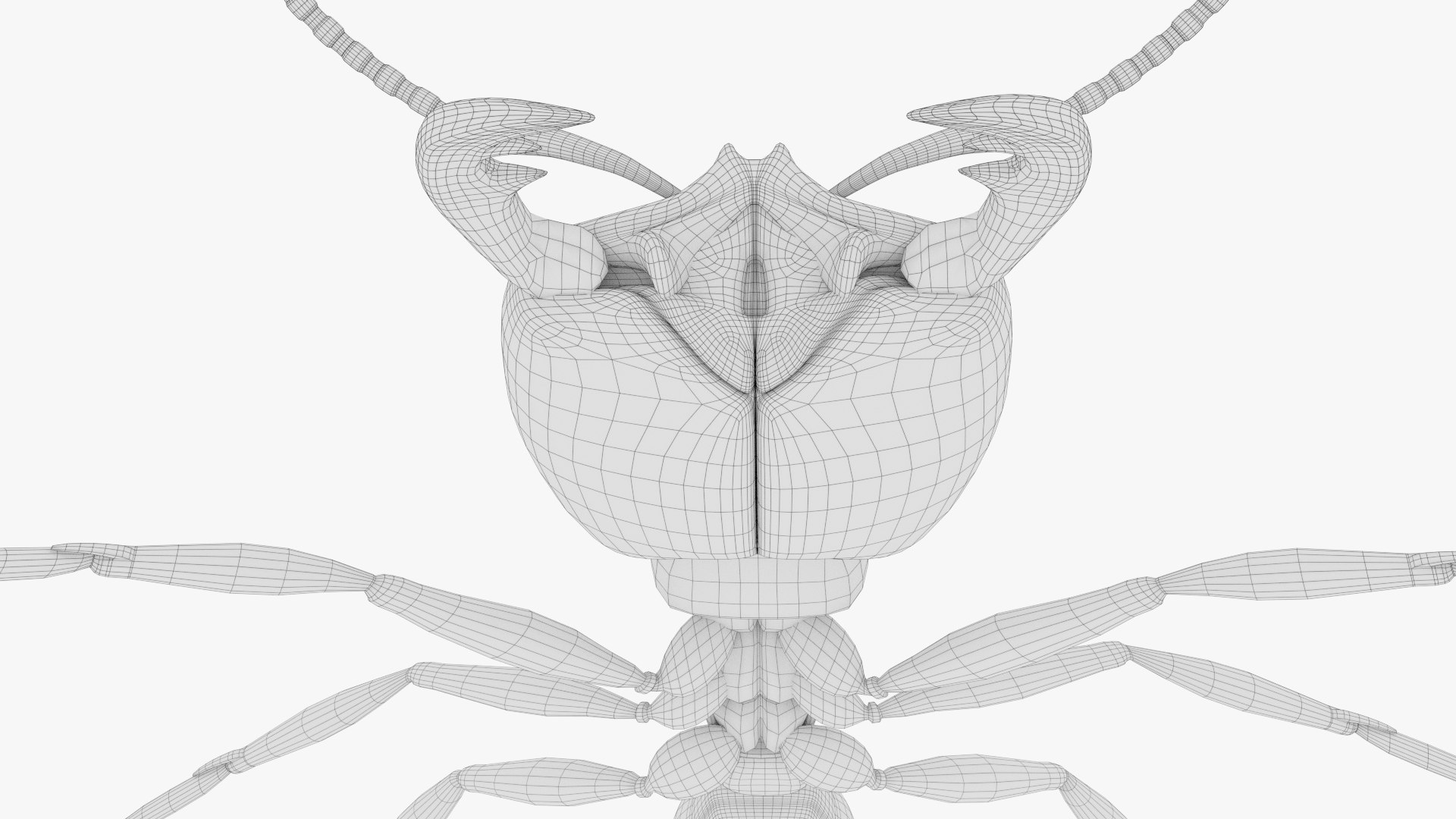 3D African Driver Ant Soldier - TurboSquid 1836227