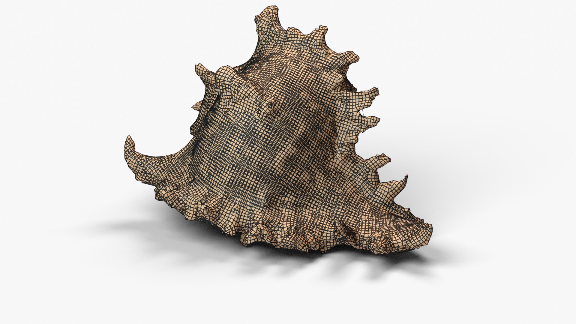 3D Big shell - TurboSquid 1769376