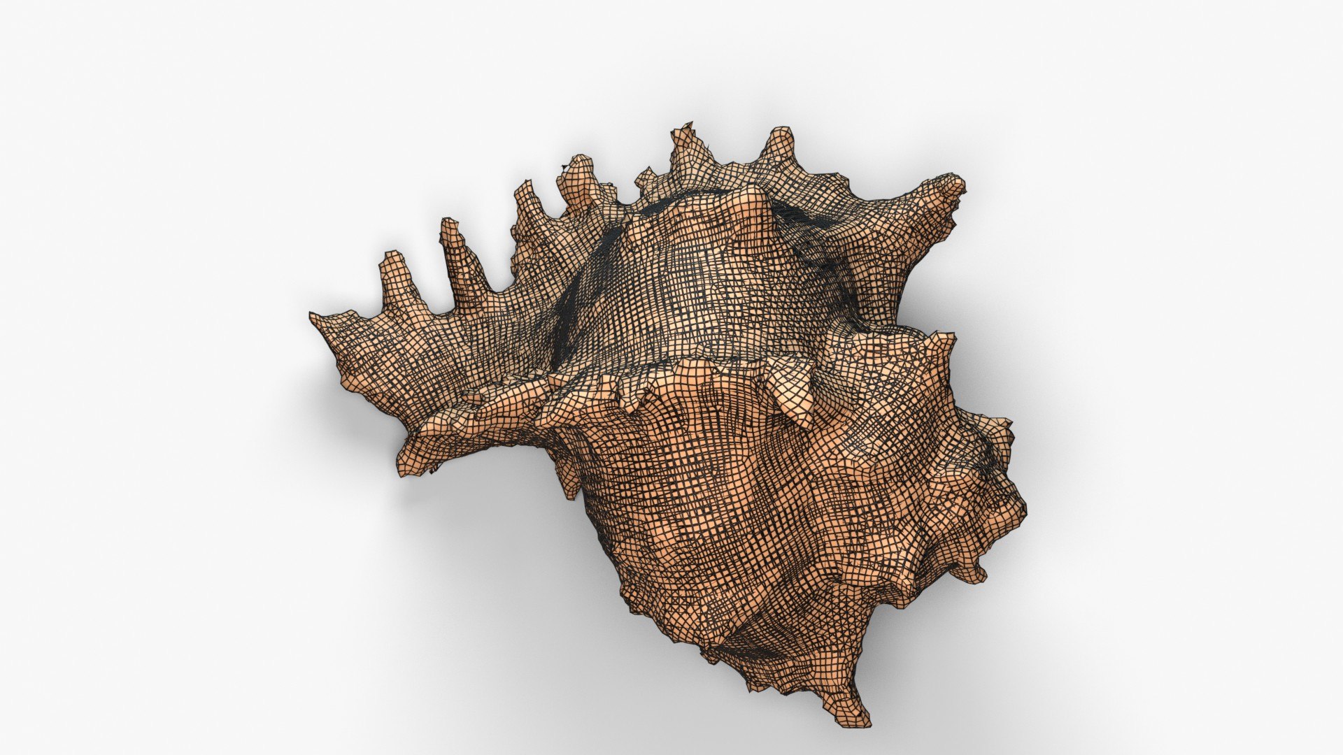 3D Big shell - TurboSquid 1769376