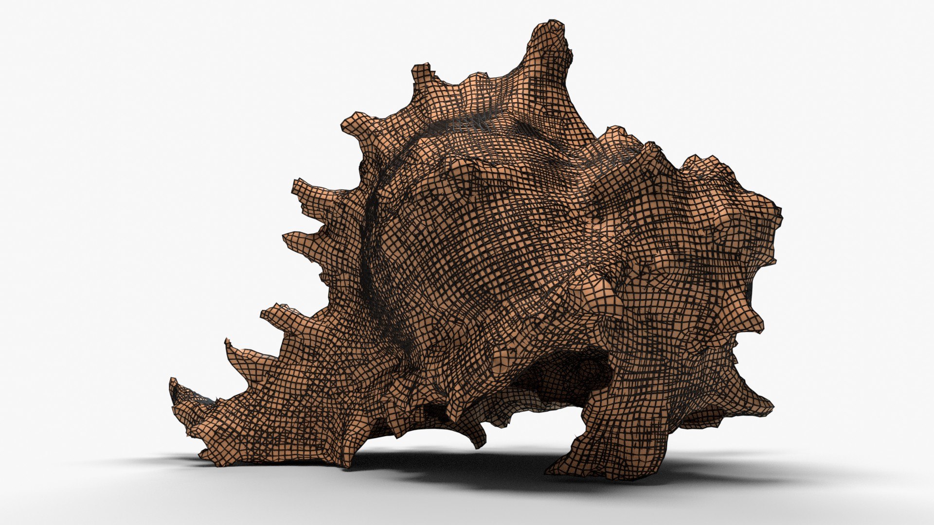 3D Big shell - TurboSquid 1769376