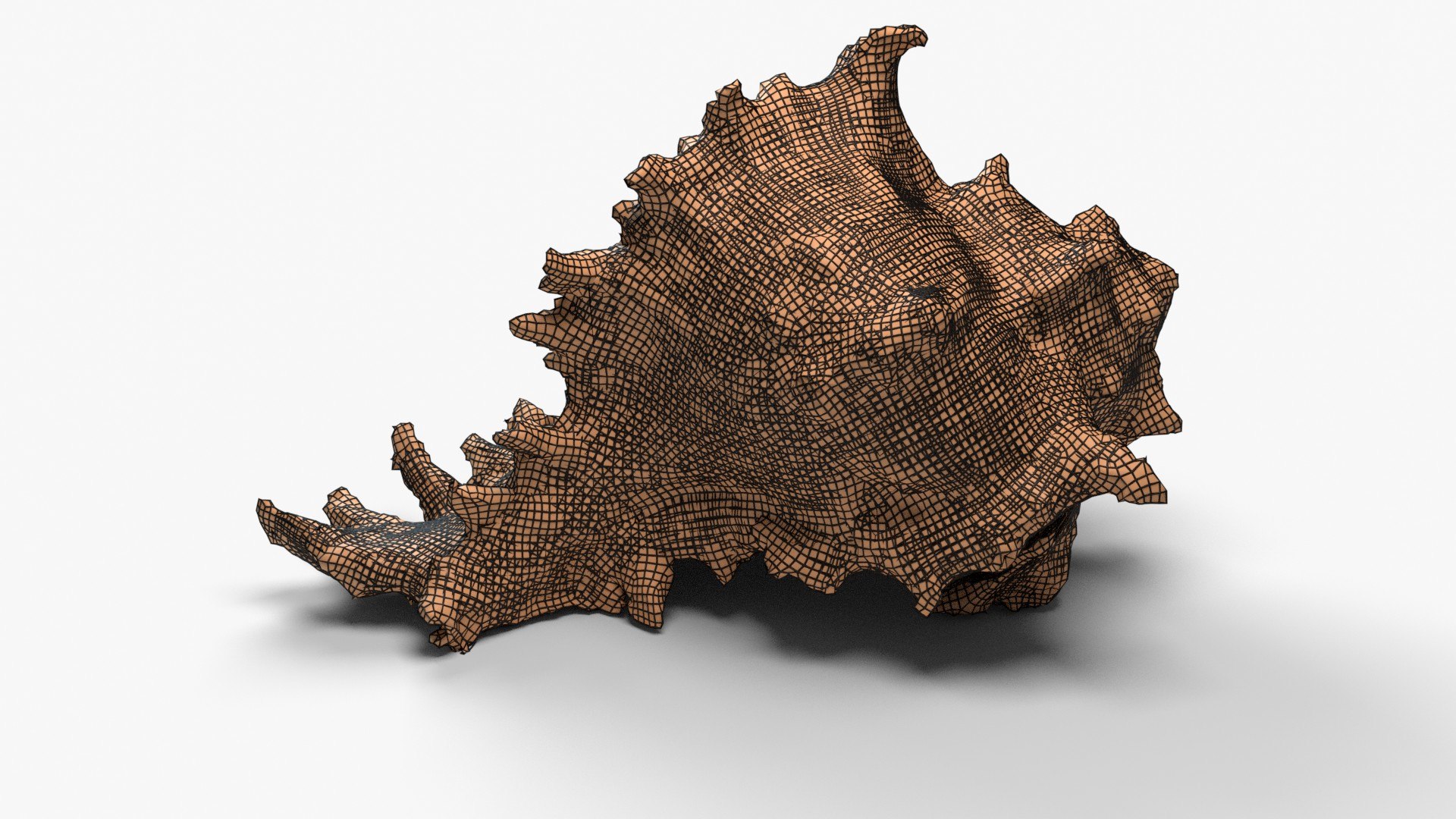 3D Big shell - TurboSquid 1769376