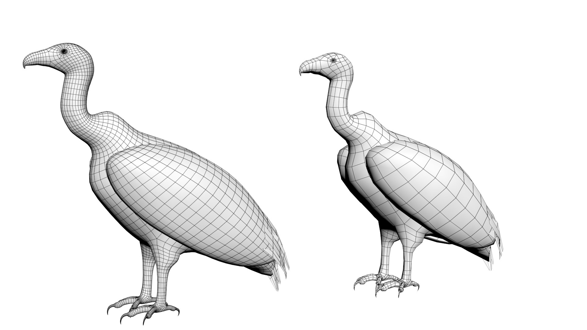 Vulture Model - TurboSquid 1607286