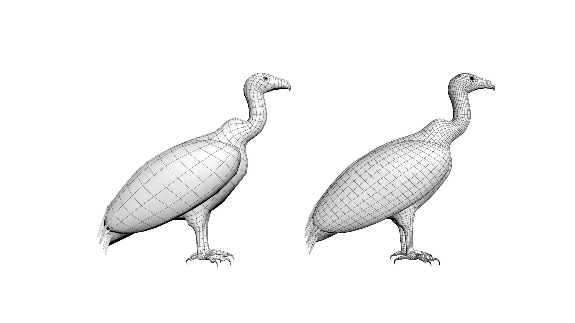 Vulture Model - TurboSquid 1607286