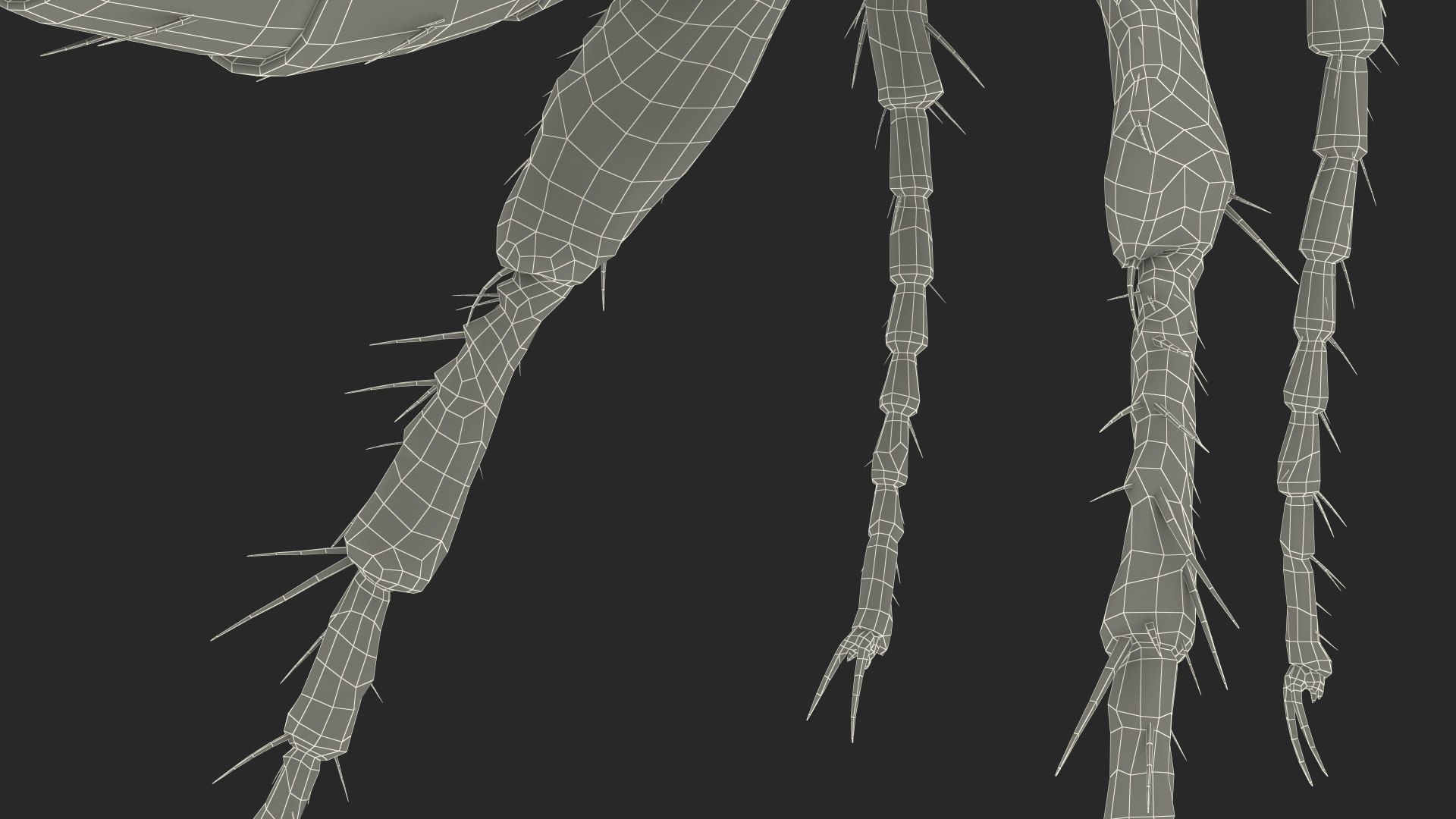 Flea Jumping Pose Insect 3D - TurboSquid 1585214