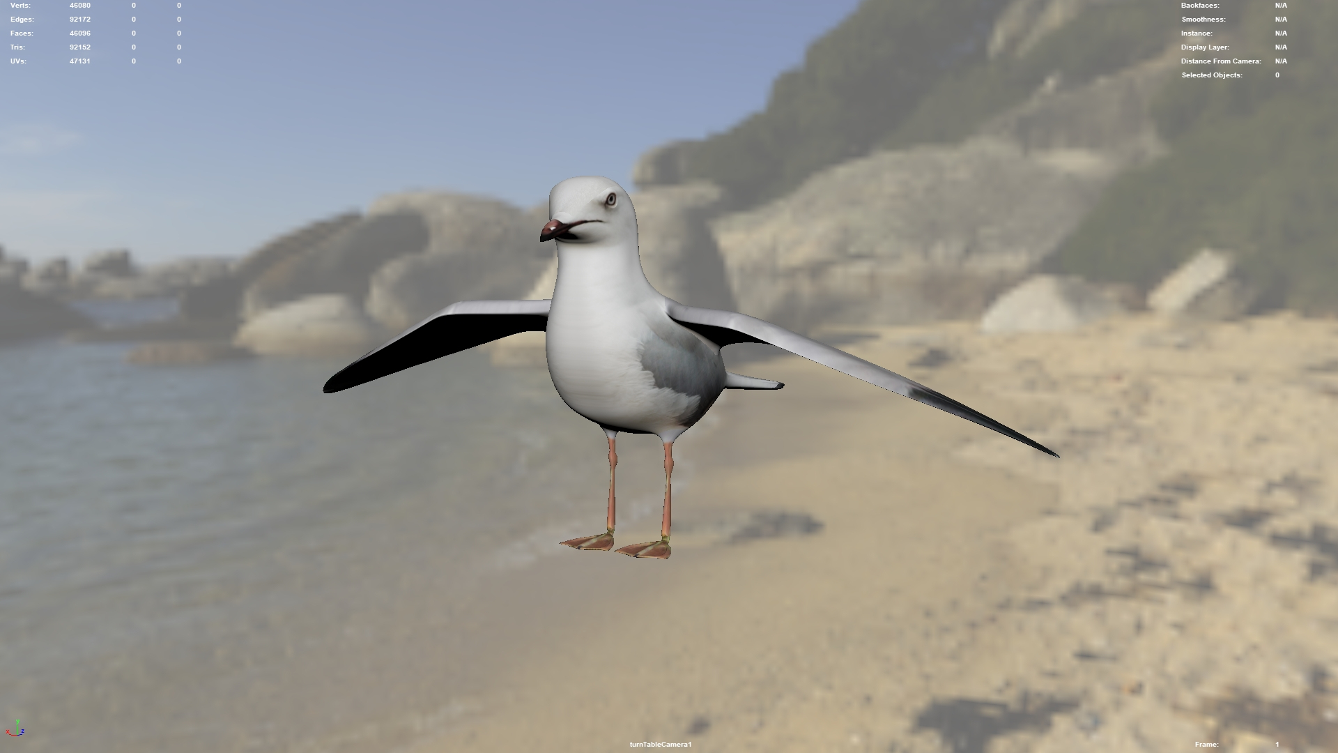 Seagull Animation 3D Model - TurboSquid 1657859