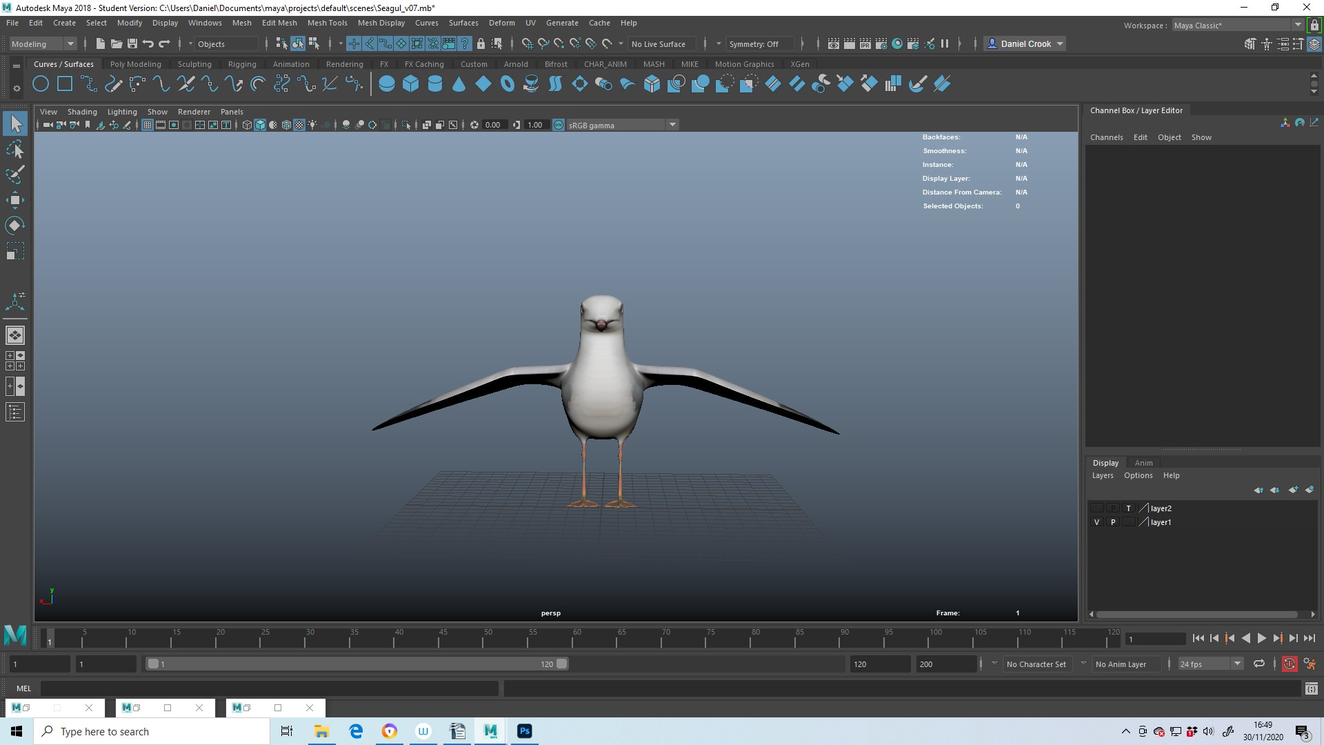 Seagull Animation 3D Model - TurboSquid 1657859