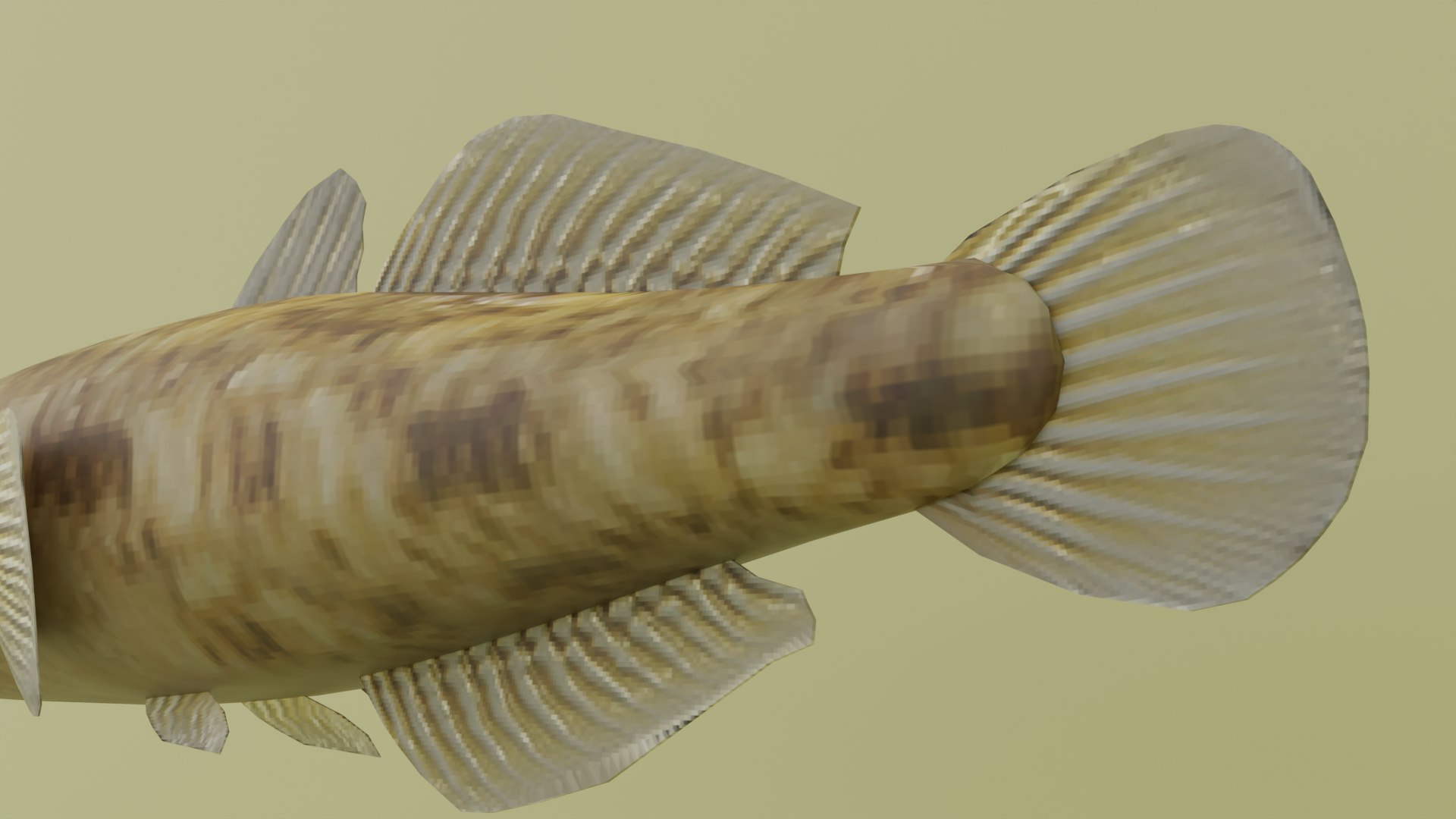 Bullhead Fish 3D Model - TurboSquid 2173969
