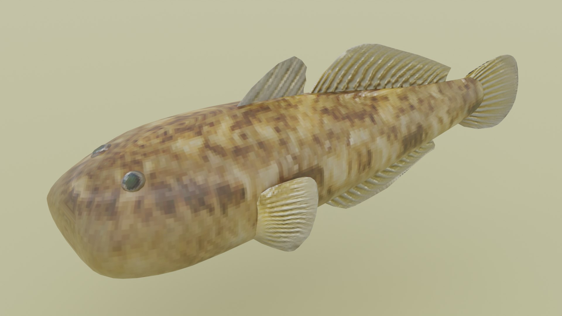 Bullhead fish 3D model - TurboSquid 2173969
