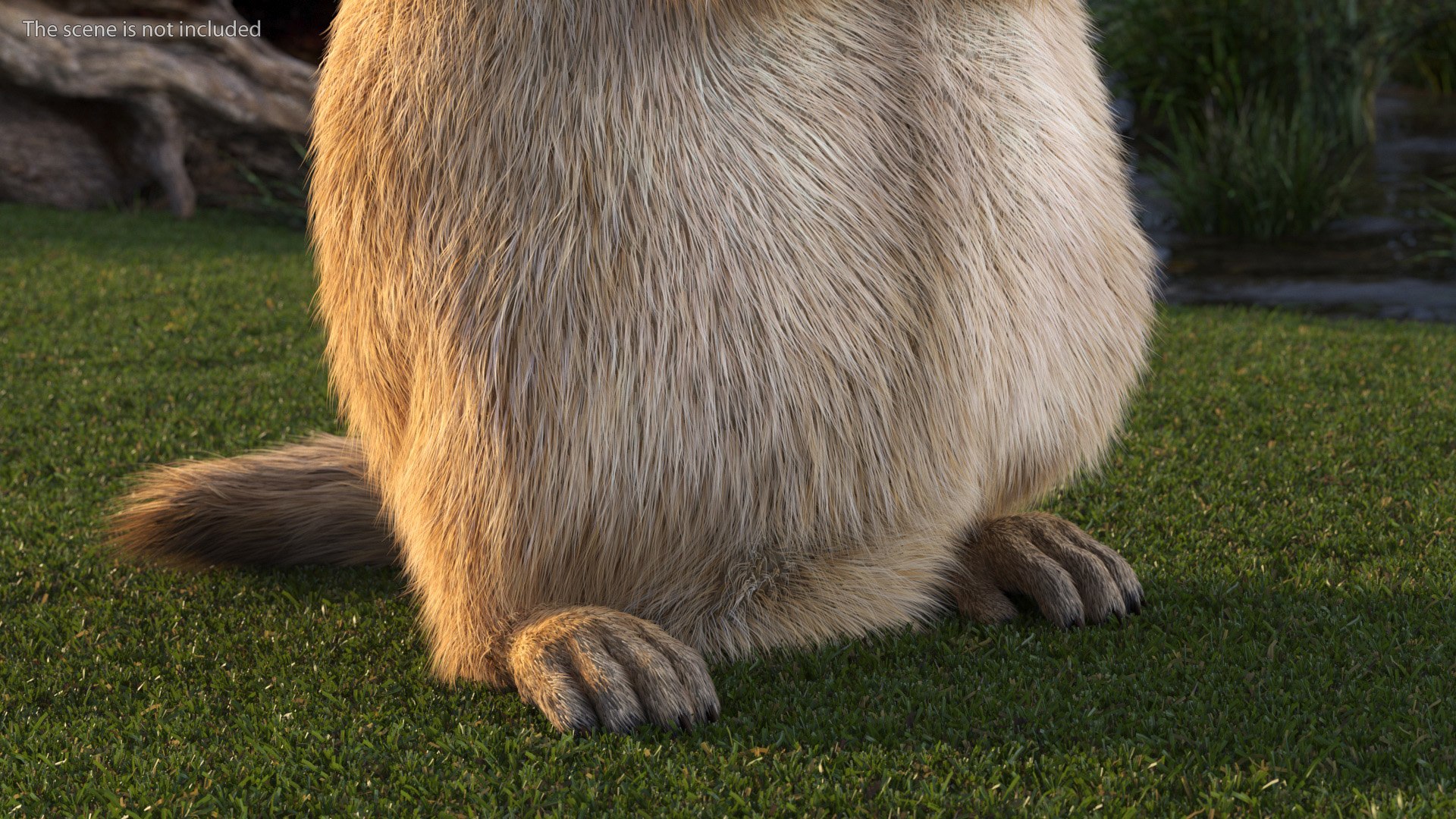 3D Alpine Marmot Eating Pose Fur - TurboSquid 1964227