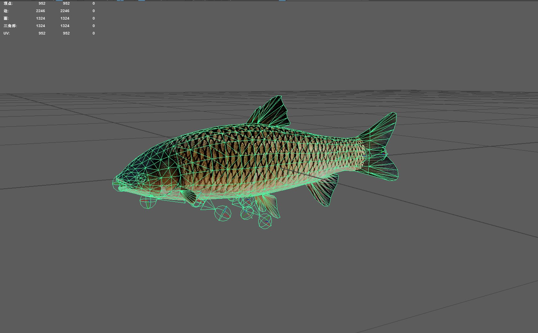 Carp 3D Model - TurboSquid 2125086