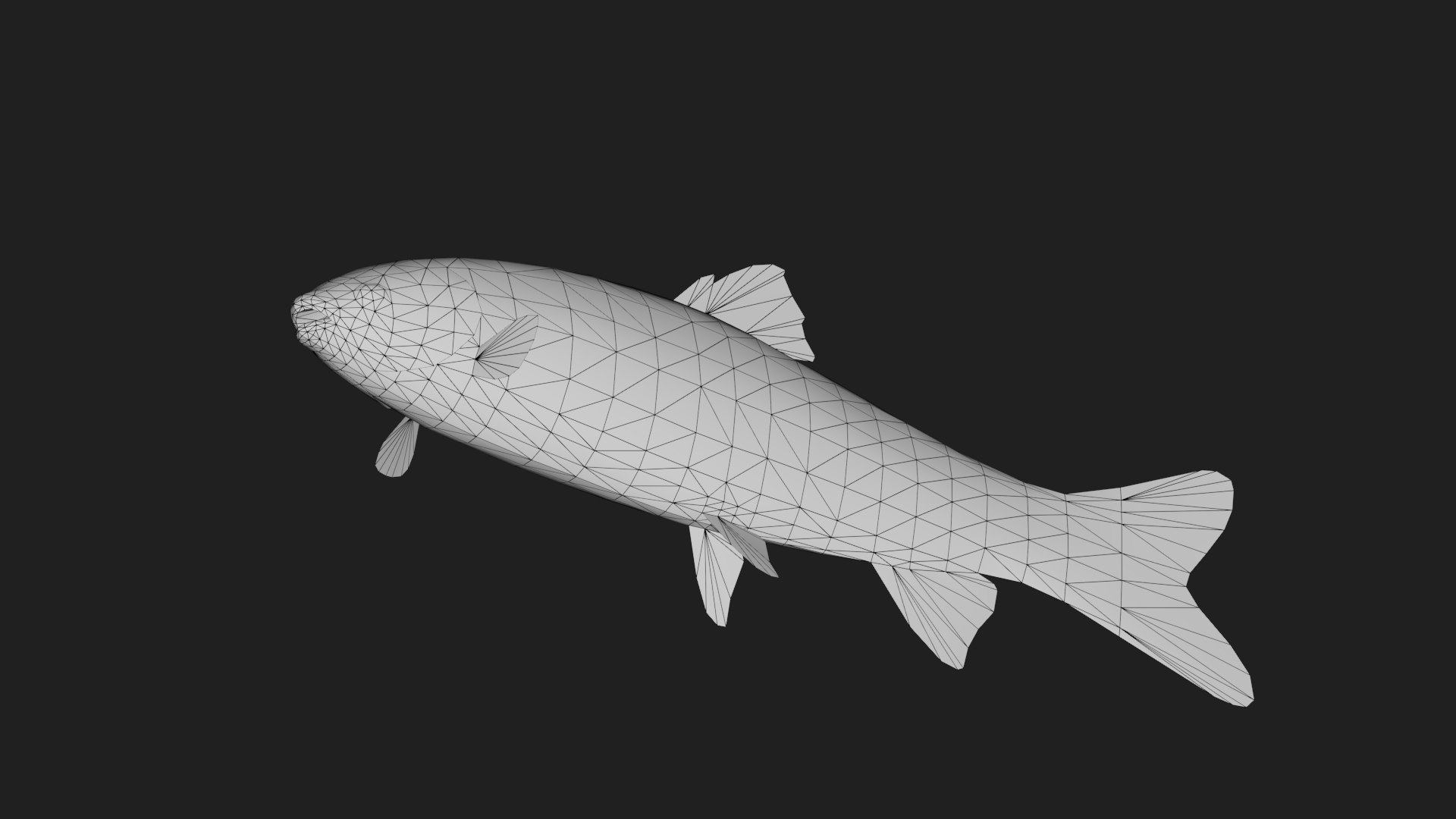Carp 3D Model - TurboSquid 2125086