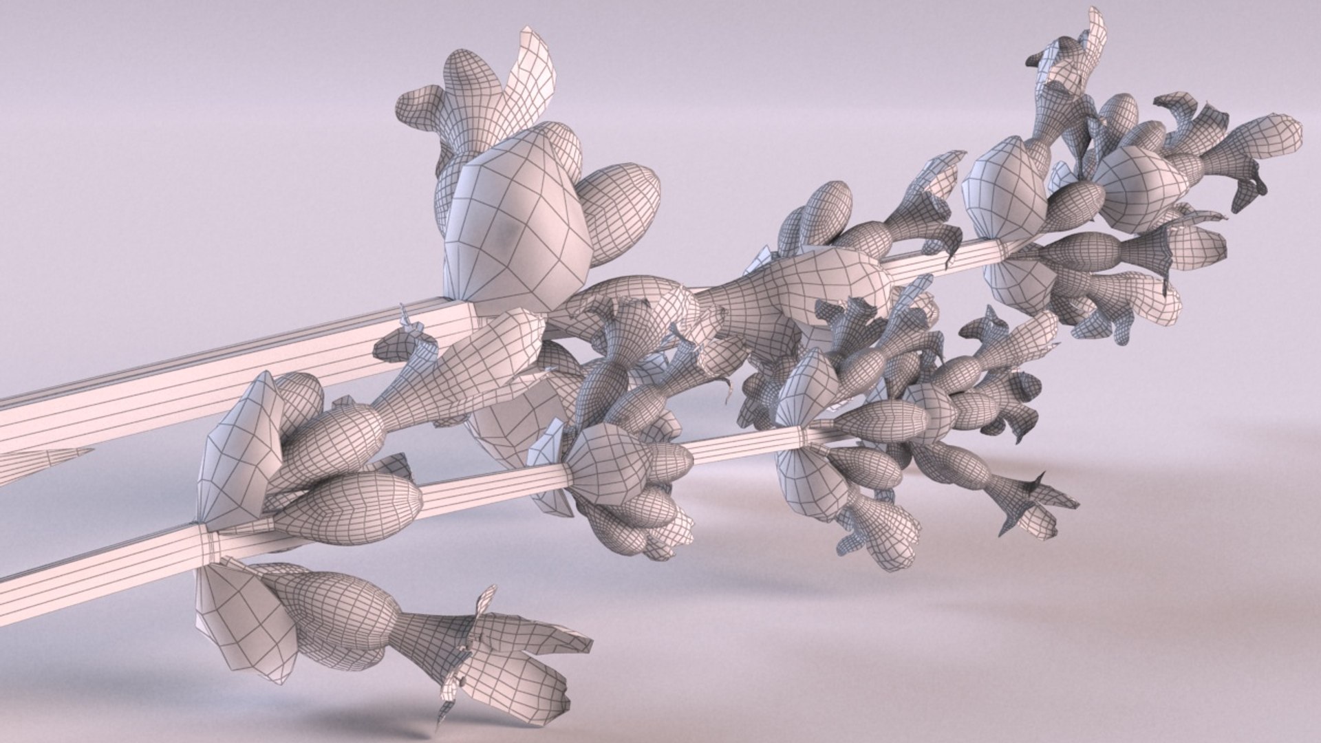 3D Lavender Flowers Spices Model - TurboSquid 1643646
