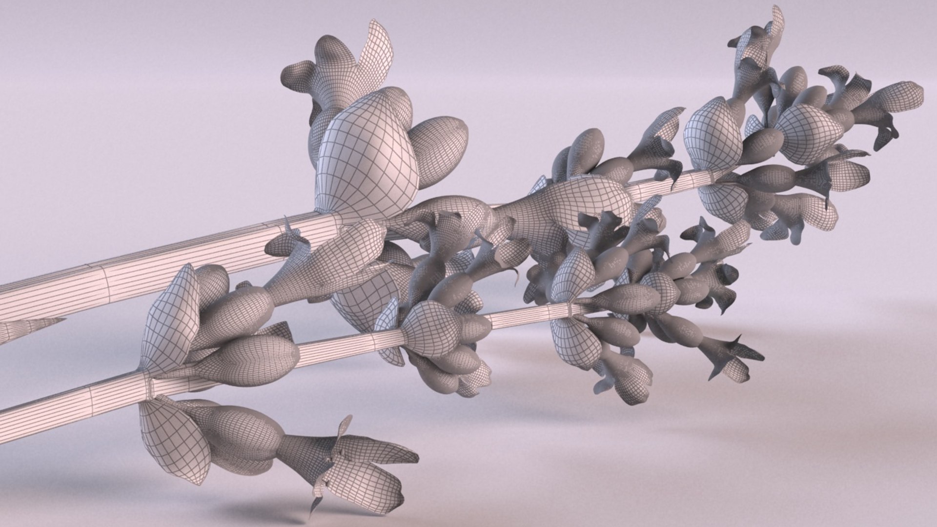3D Lavender Flowers Spices Model - TurboSquid 1643646