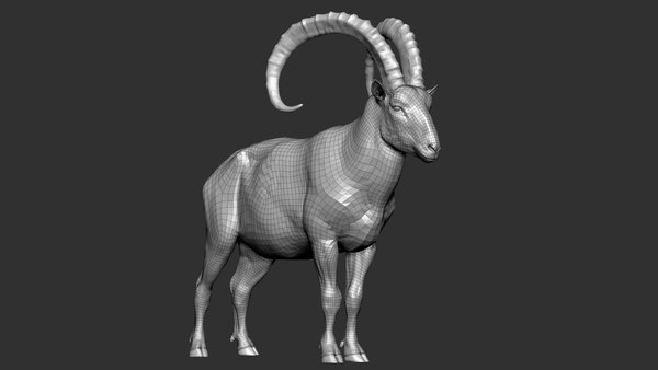 3D wild ibex - TurboSquid 1641910