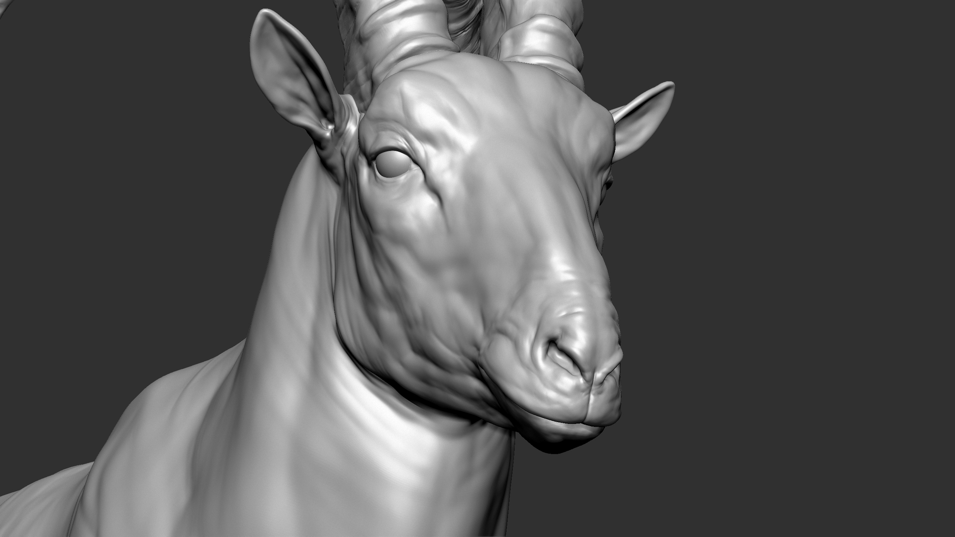 3D wild ibex - TurboSquid 1641910