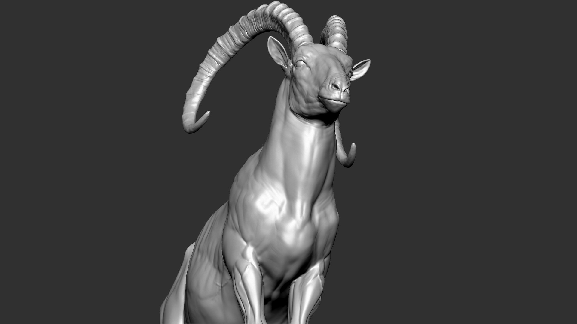 3D Wild Ibex - TurboSquid 1641910