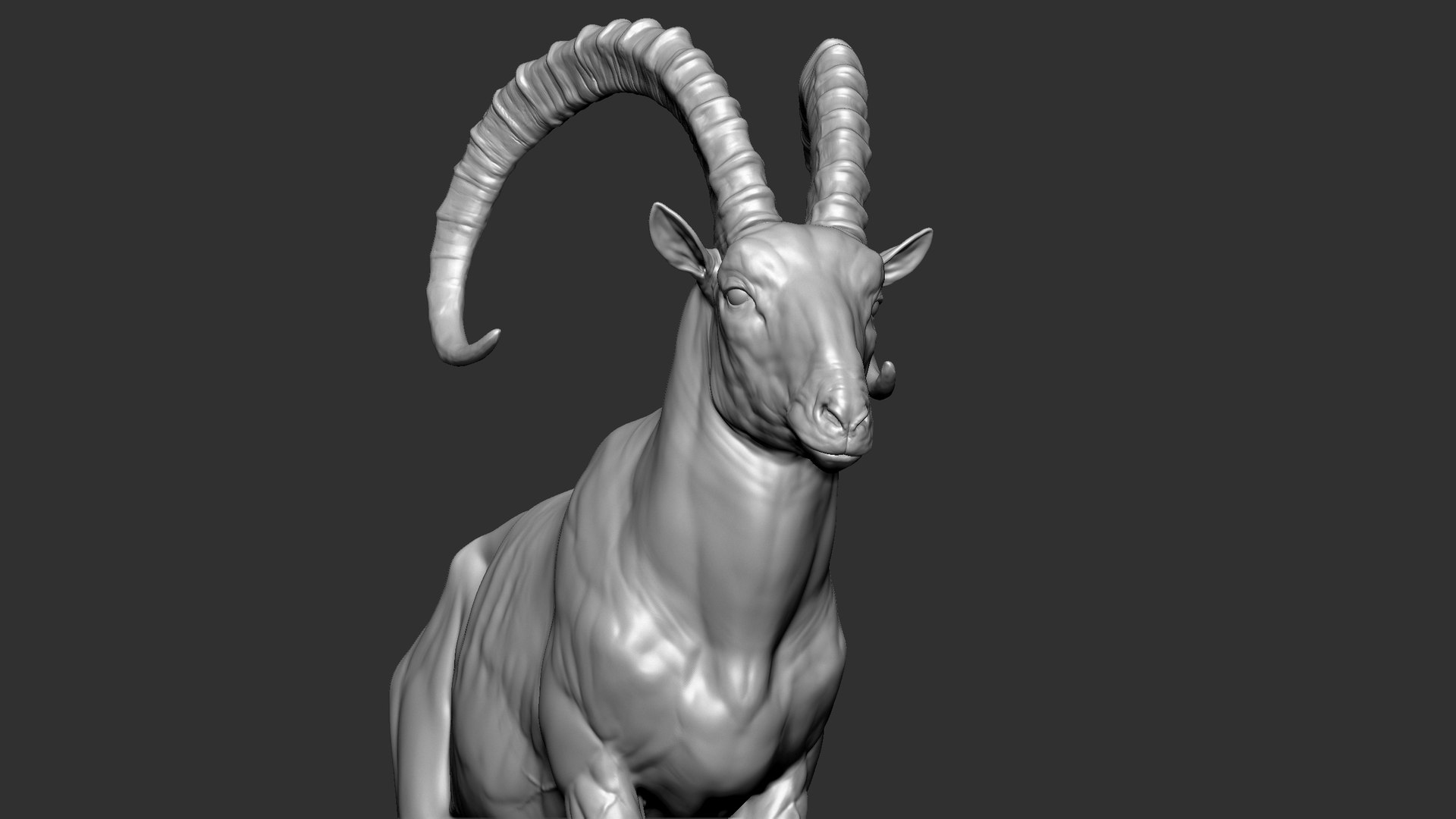 3D Wild Ibex - TurboSquid 1641910