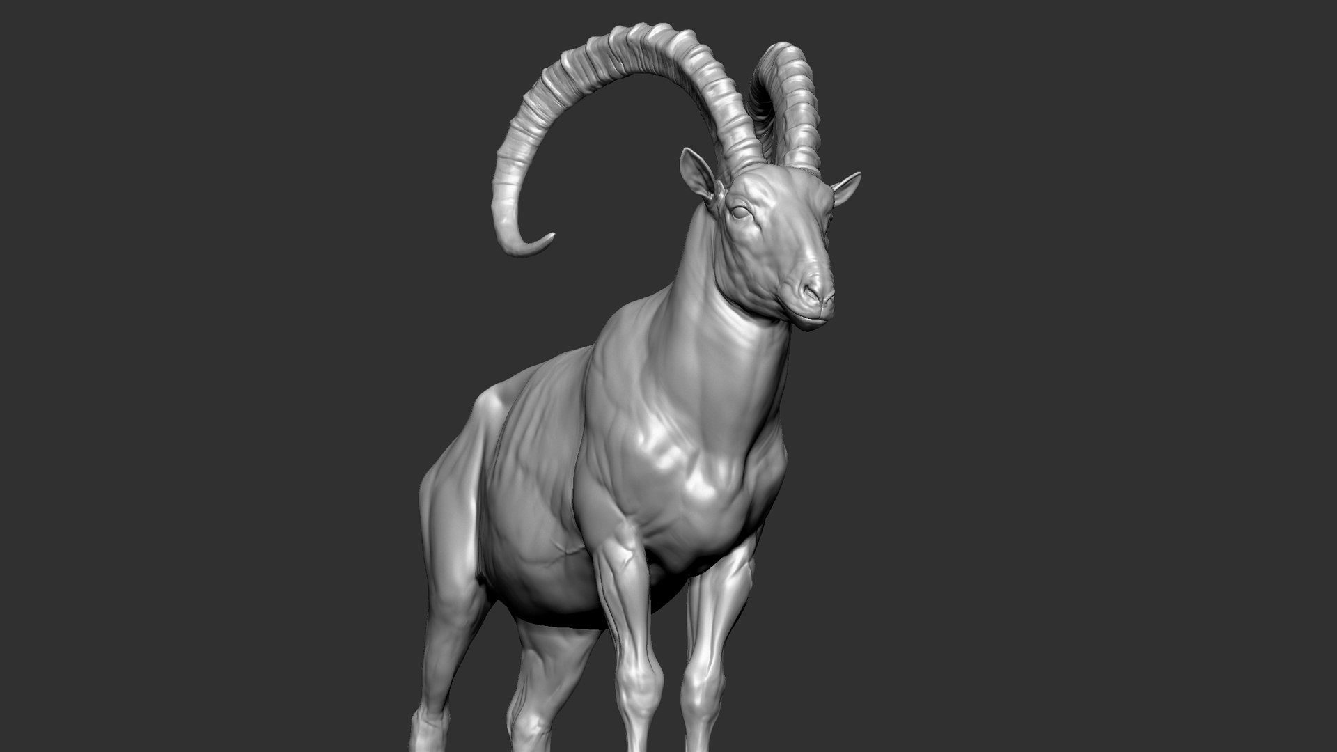 3D Wild Ibex - TurboSquid 1641910