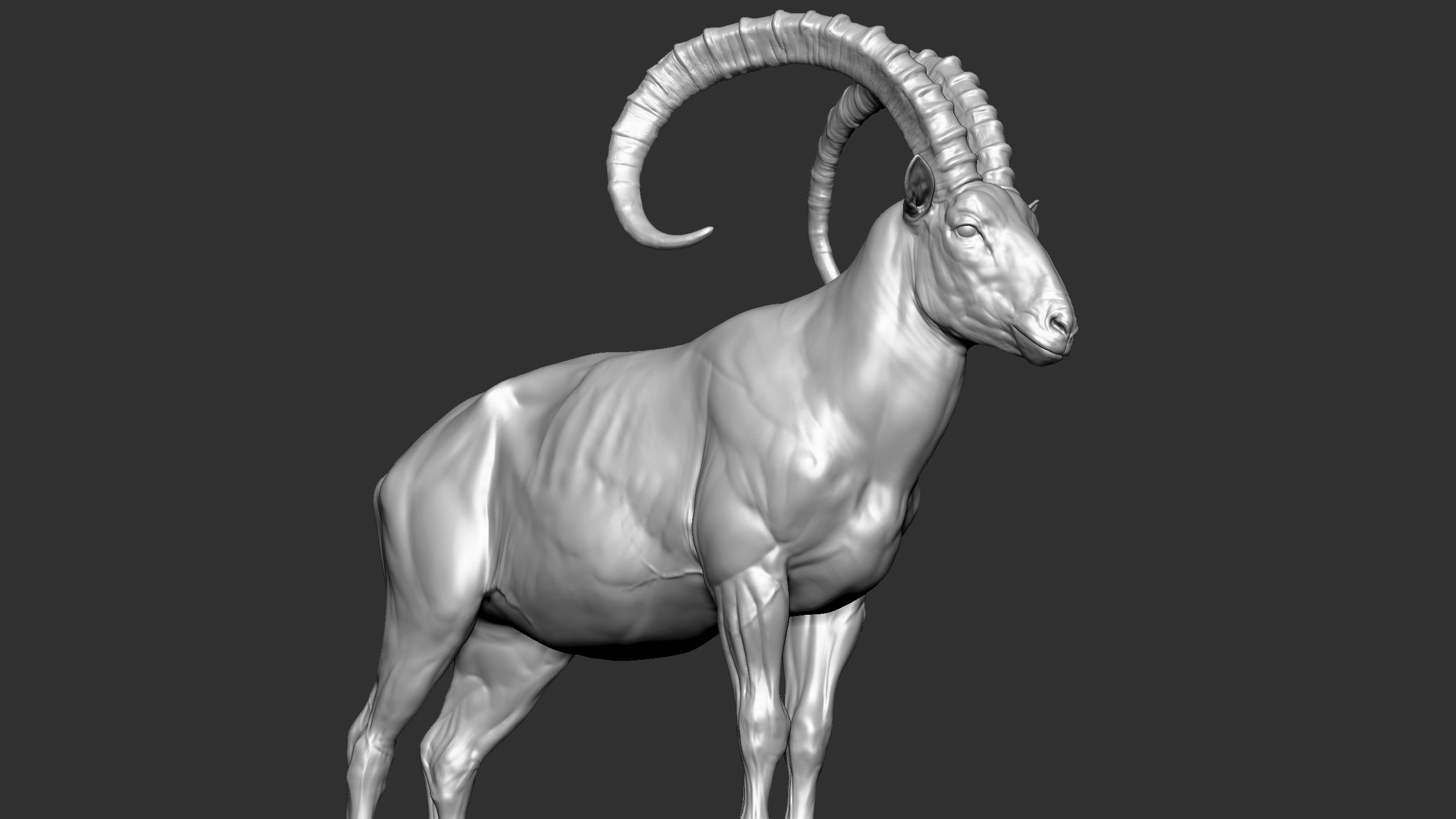 3D wild ibex - TurboSquid 1641910