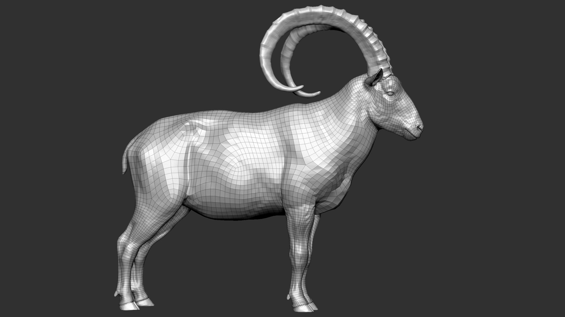 3D Wild Ibex - TurboSquid 1641910