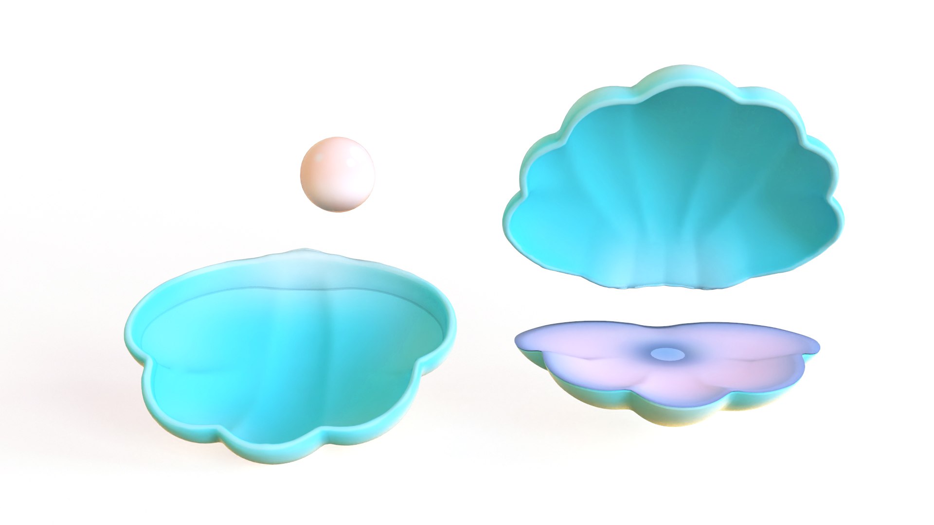 3D Open Clam Sea Shell 02 - TurboSquid 2331058