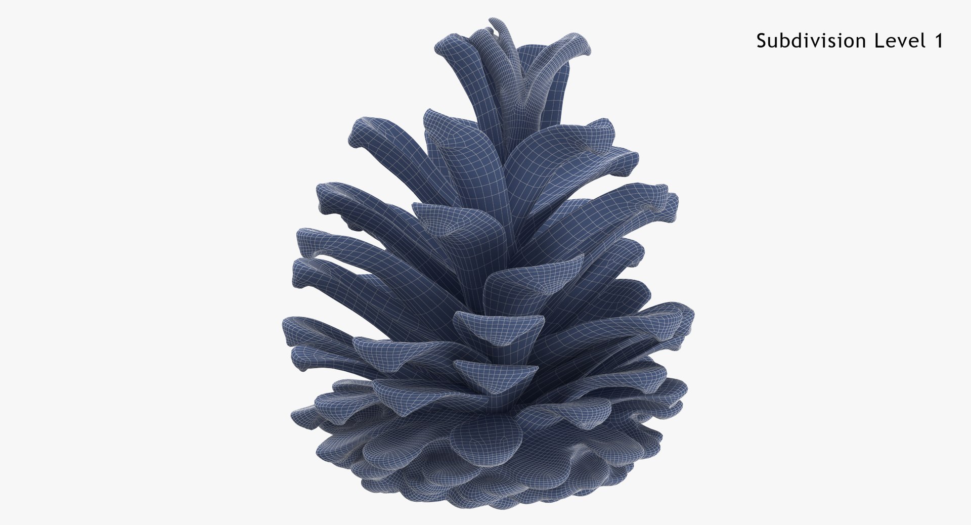 Prop 16 Pine Cones Type 03 3D - TurboSquid 2146756