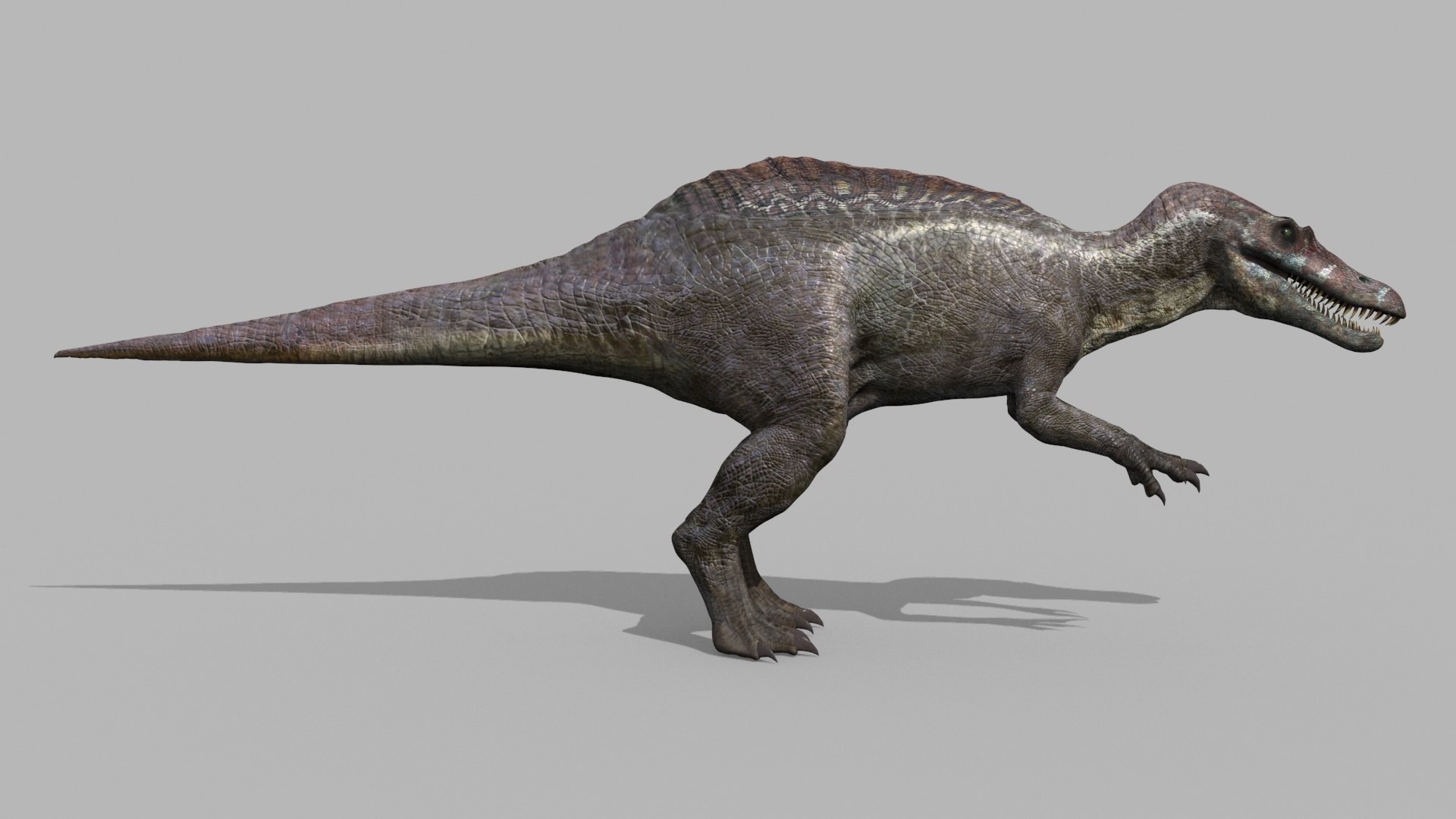 Suchomimus Tenerensis – 8K animiert 3D-Modell - TurboSquid 2005793