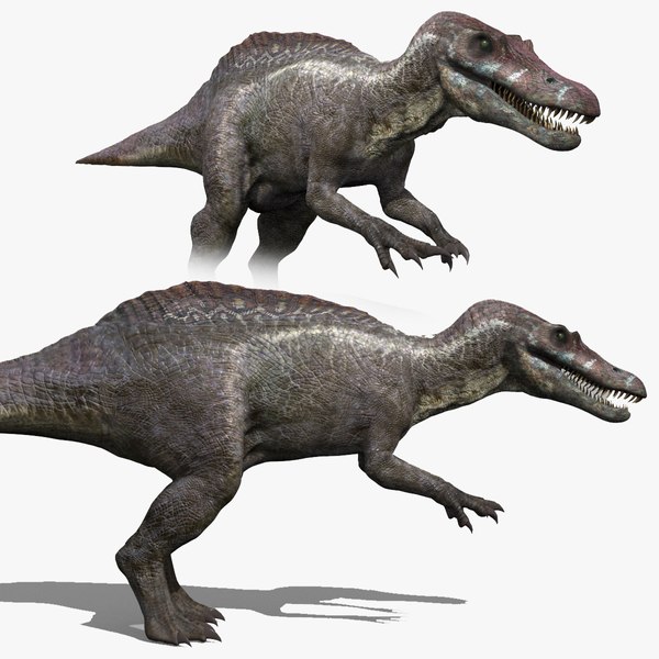 Suchomimus Tenerensis - 8K animated3D模型 - TurboSquid 2005793