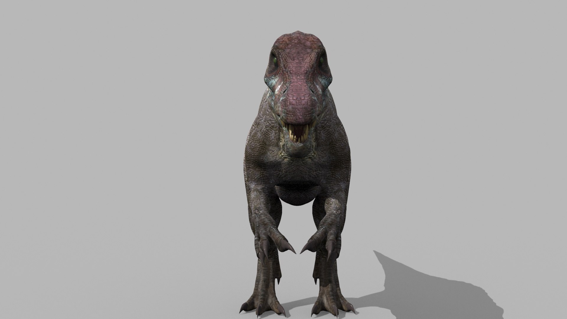 3D Suchomimus Tenerensis - 8K Animated - TurboSquid 2005793