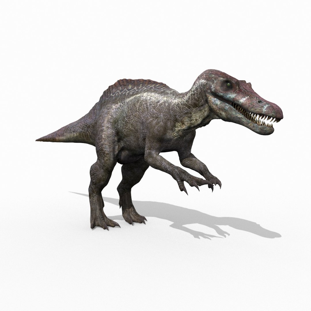 3D Suchomimus Tenerensis - 8K Animated - TurboSquid 2005793